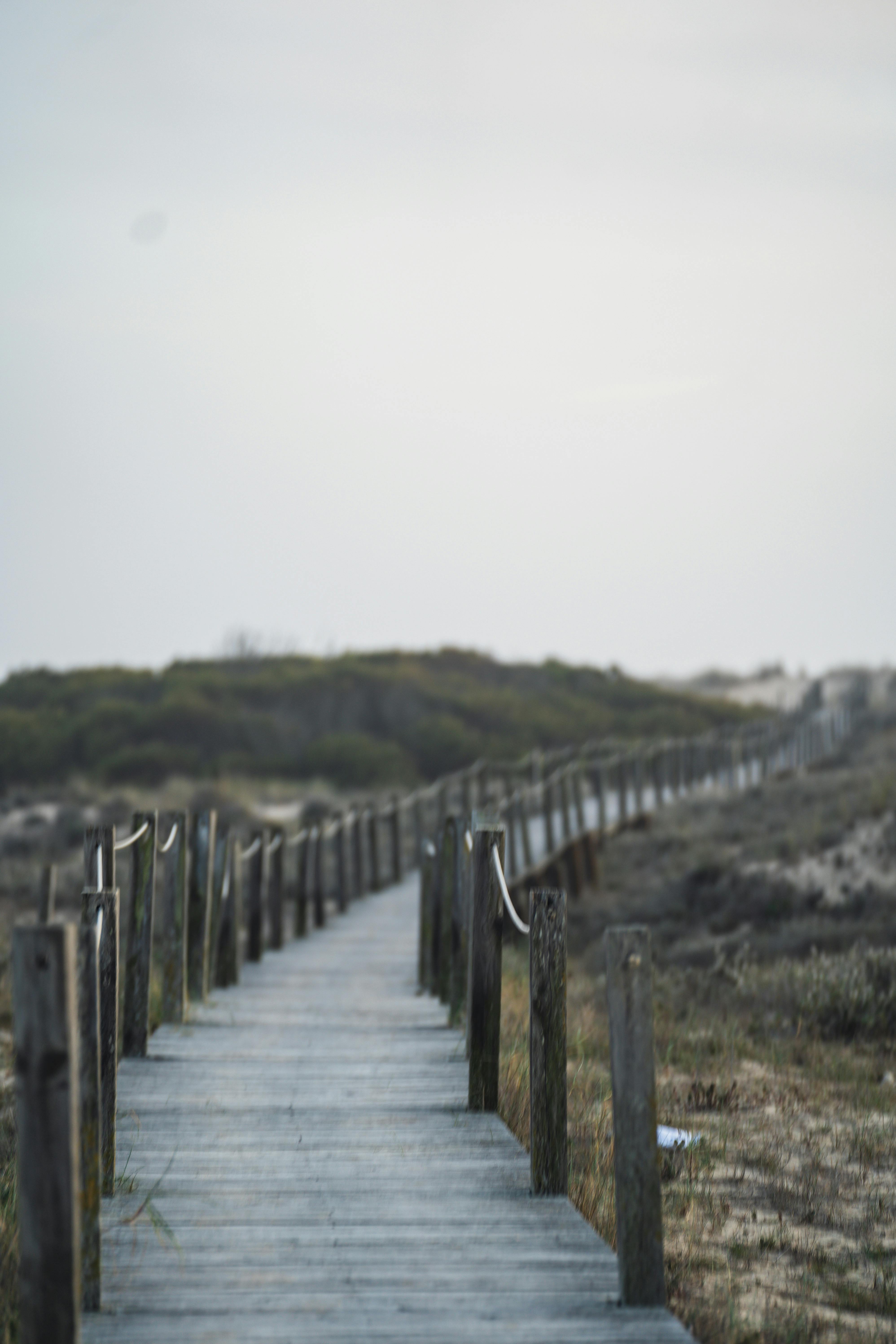 A Wooden Pathway with Railings · Free Stock Photo