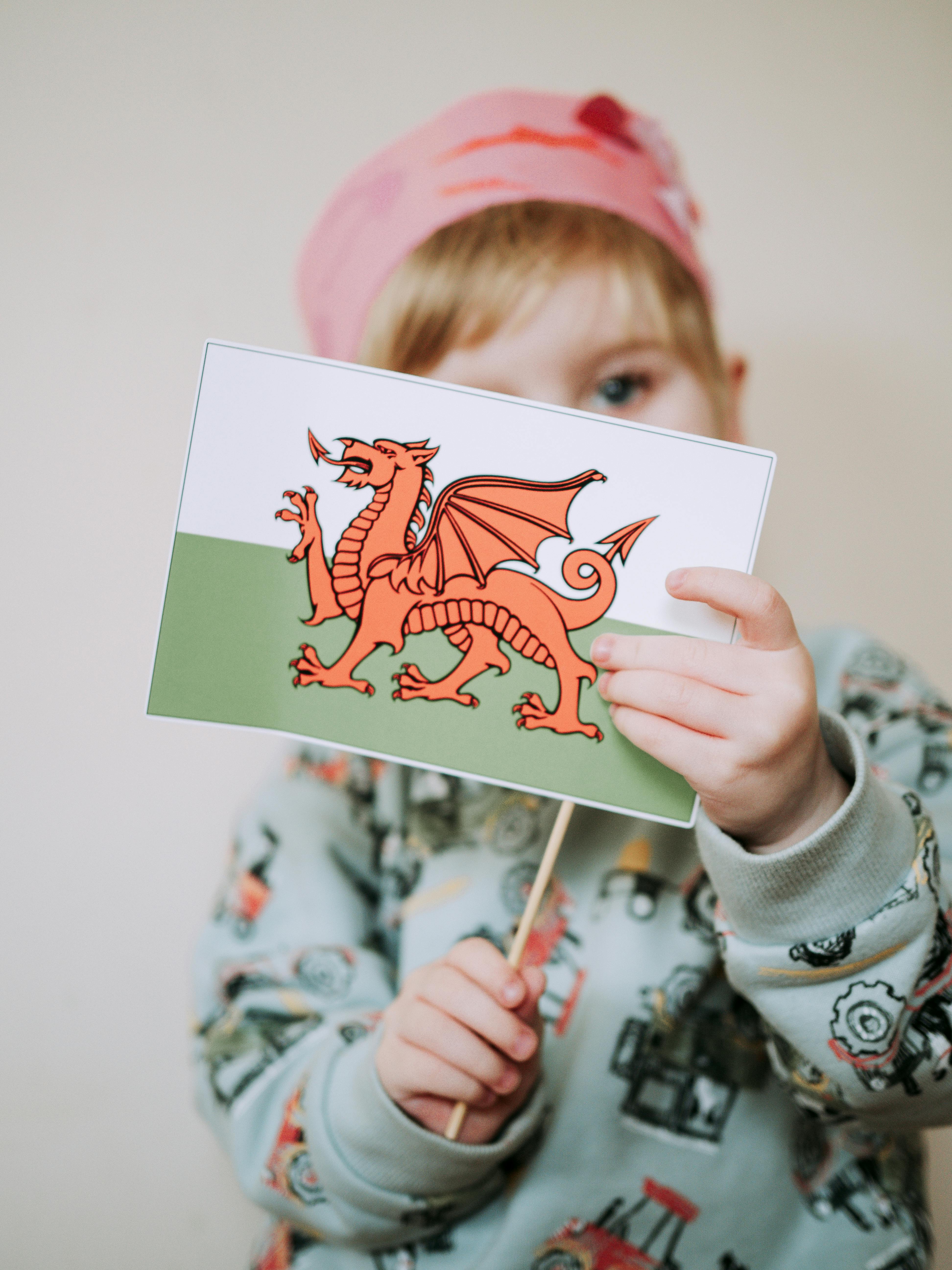 Child Holding Welsh Flag · Free Stock Photo