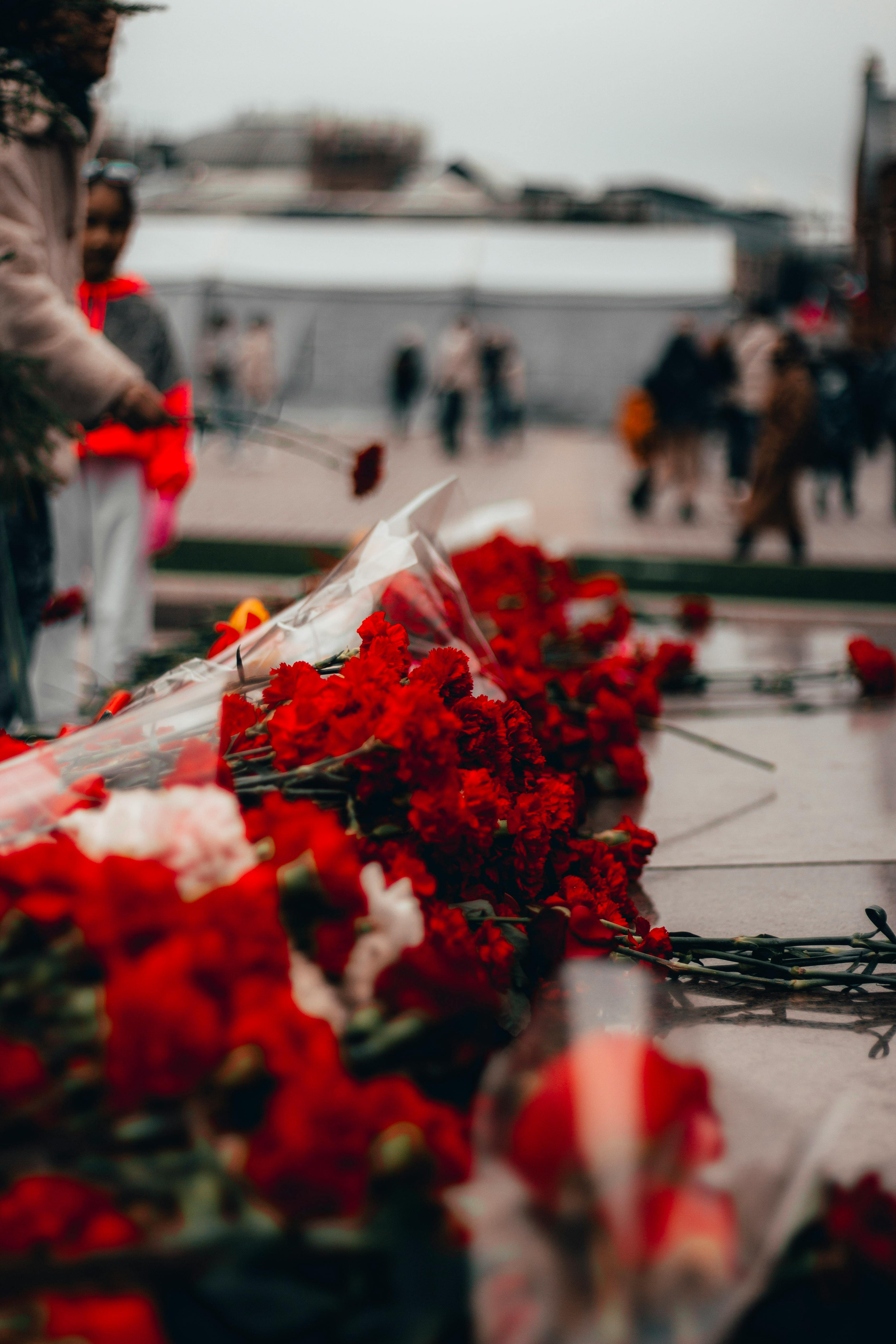 Flowers Respect Photos, Download The BEST Free Flowers Respect Stock ...