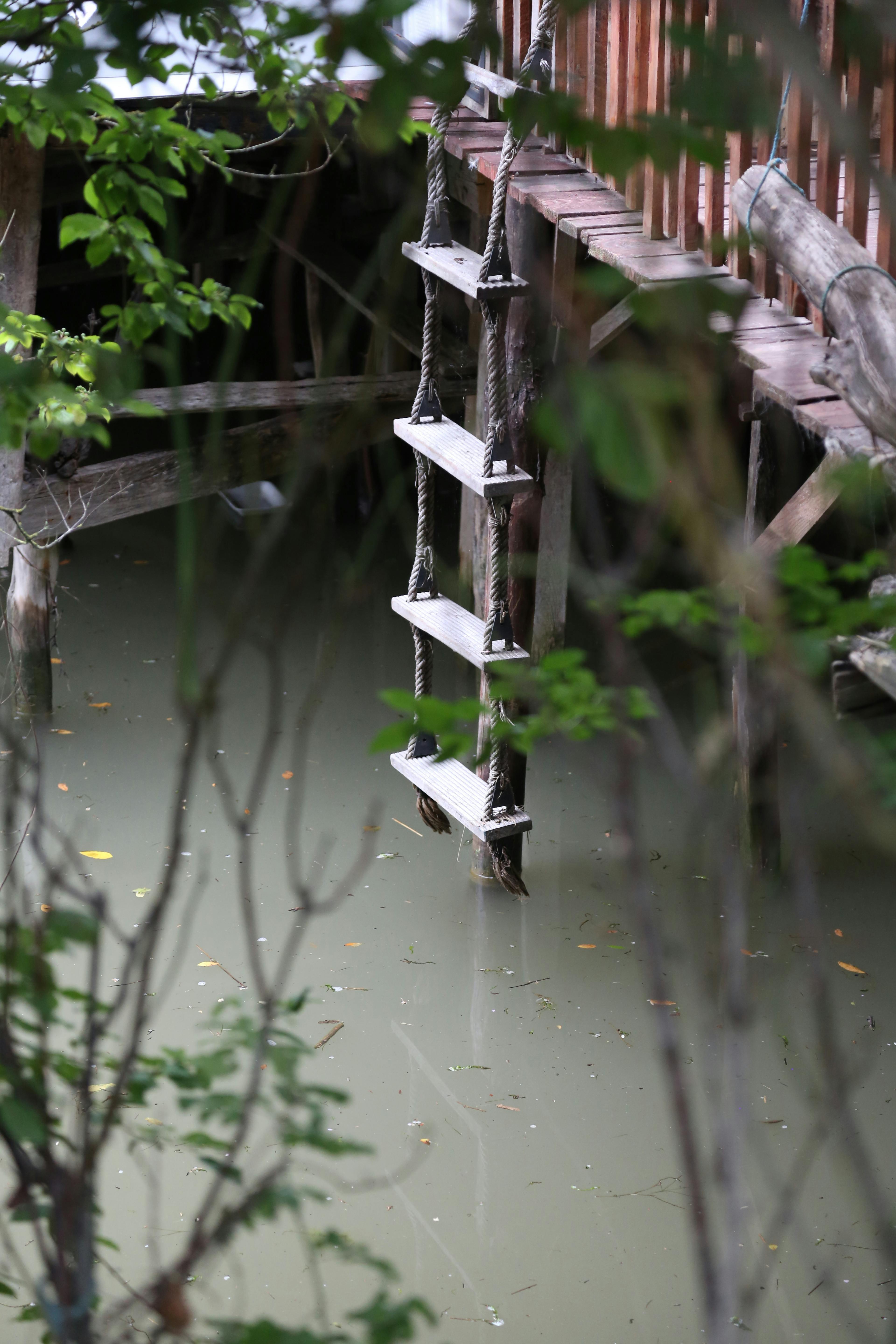 Ladder Hanging over Lake · Free Stock Photo