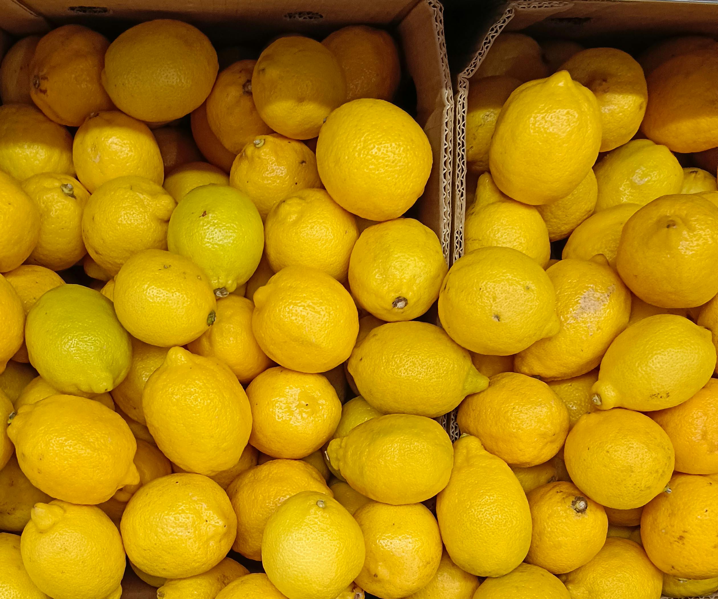 Bulk Lemons Photos, Download The BEST Free Bulk Lemons Stock Photos ...