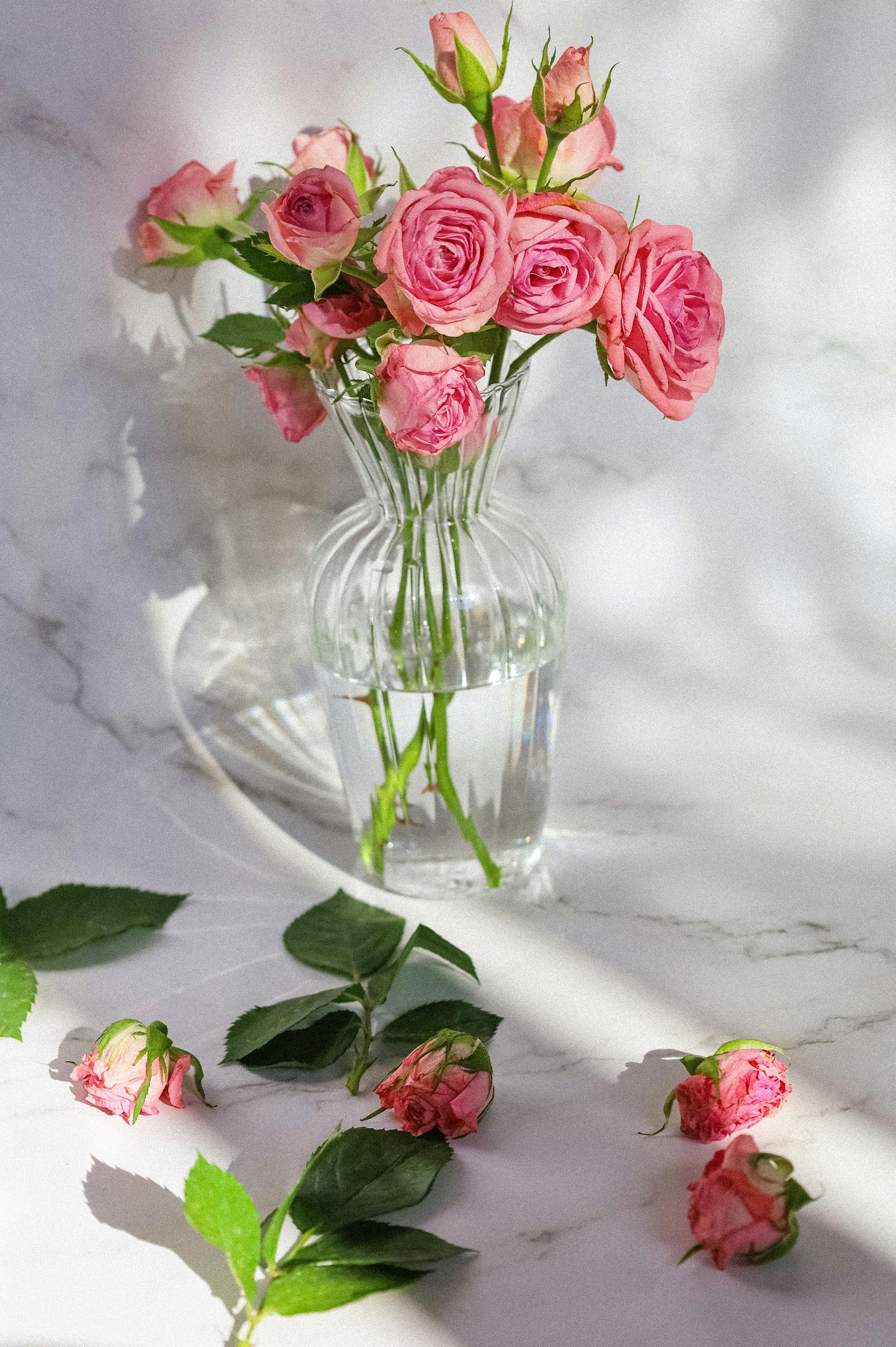Pink Roses in a Glass Vase · Free Stock Photo