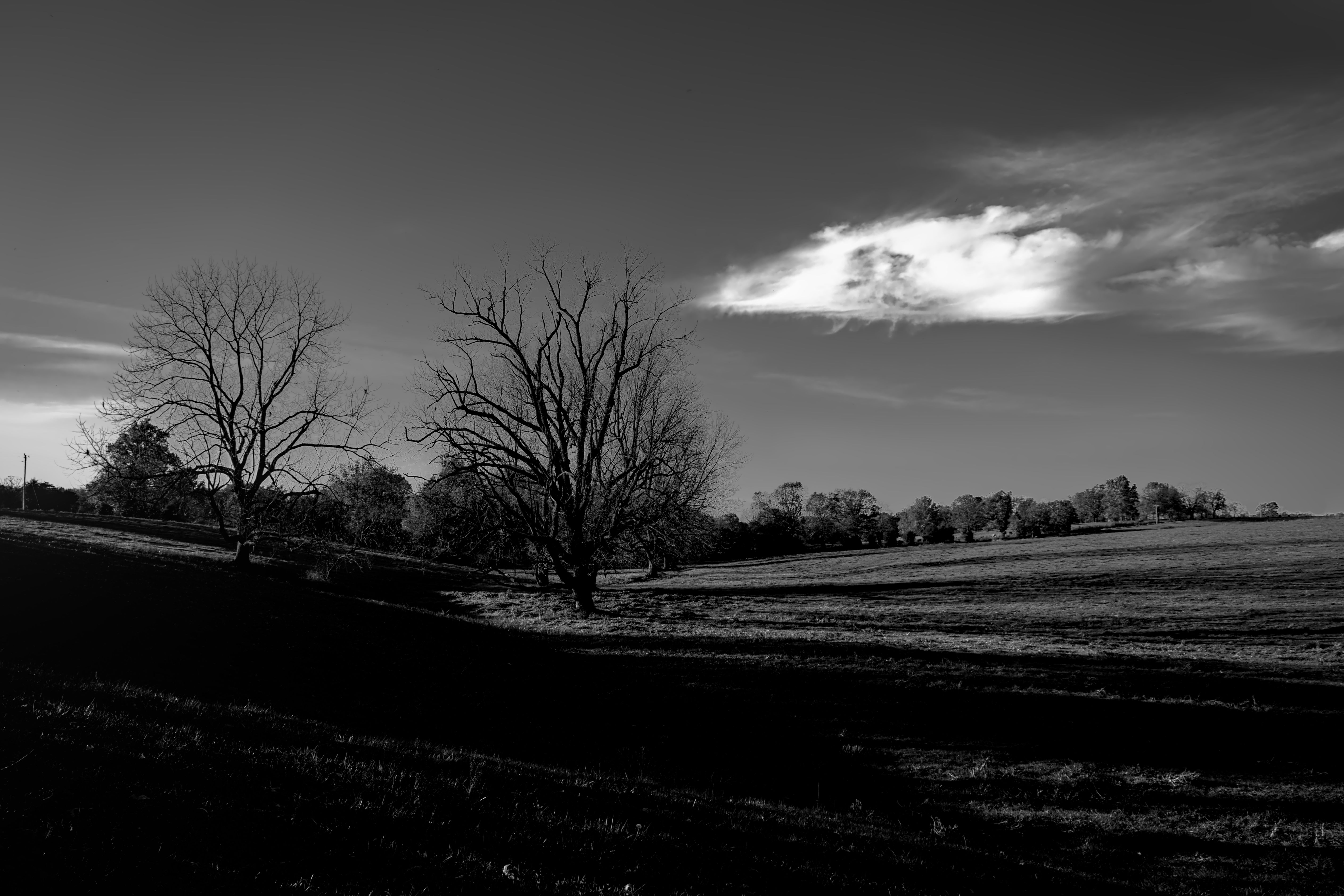 Odd Scenes 225 Photos & Videos Collected by Sikes Photos