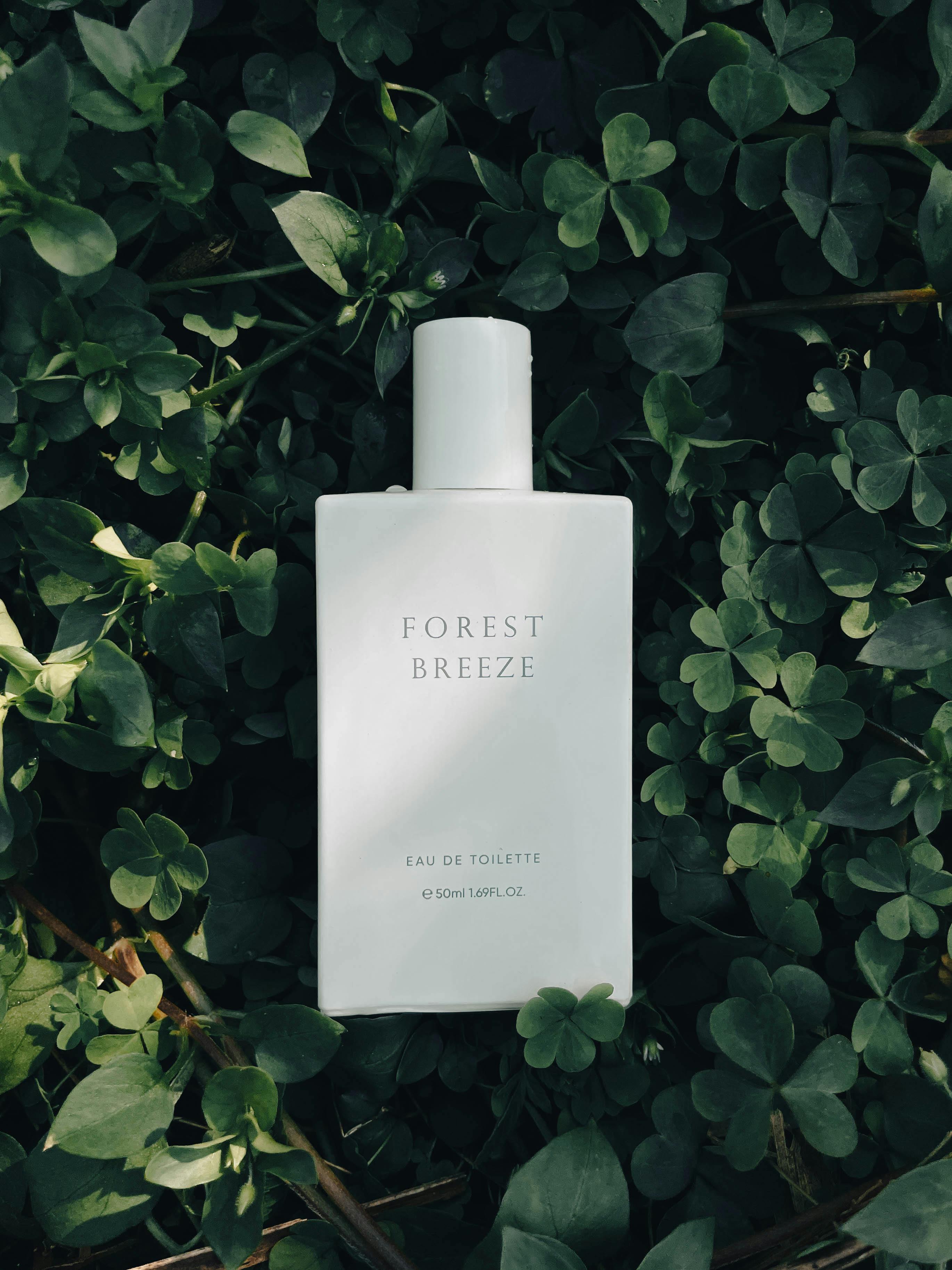 White Perfume on Leaves · Free Stock Photo