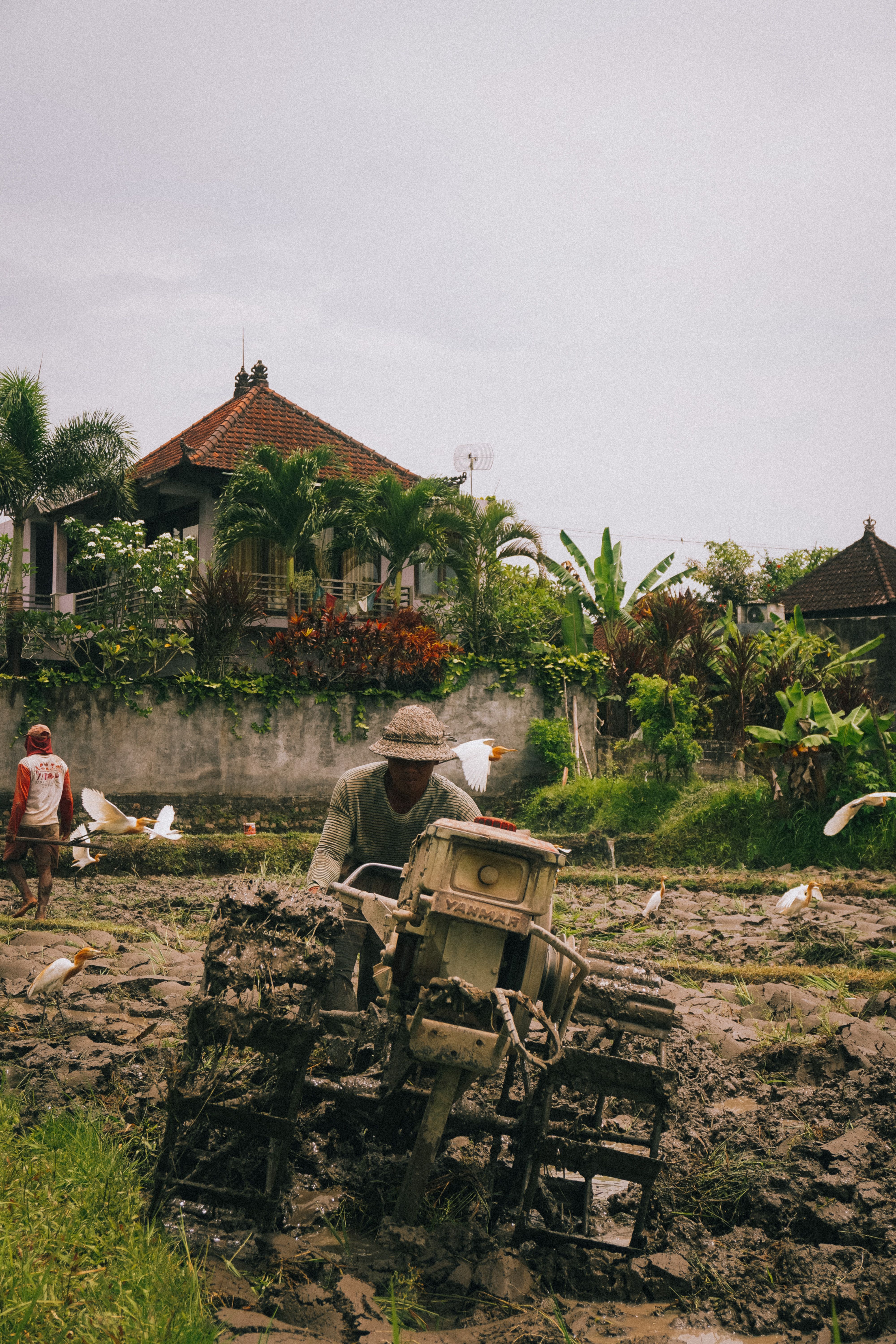 Man Working in Field in Tropical Landscape · Free Stock Photo