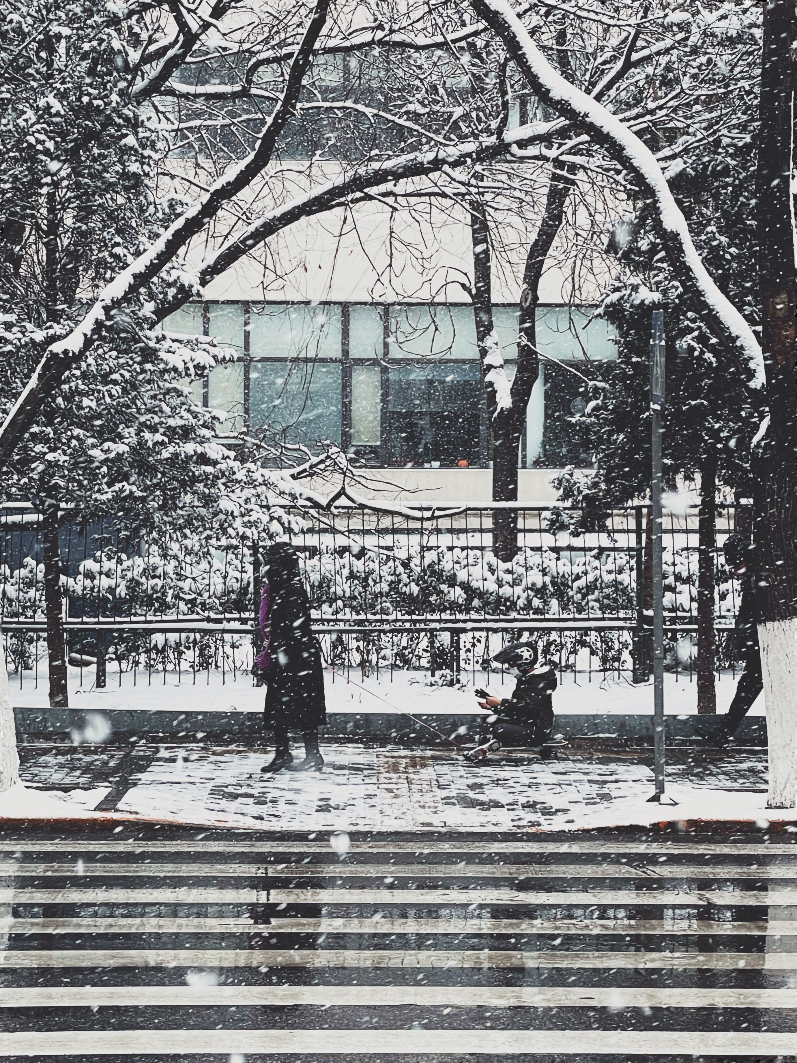 City Street in Snow and Woman Pulling a Boy on a Sledge · Free Stock Photo