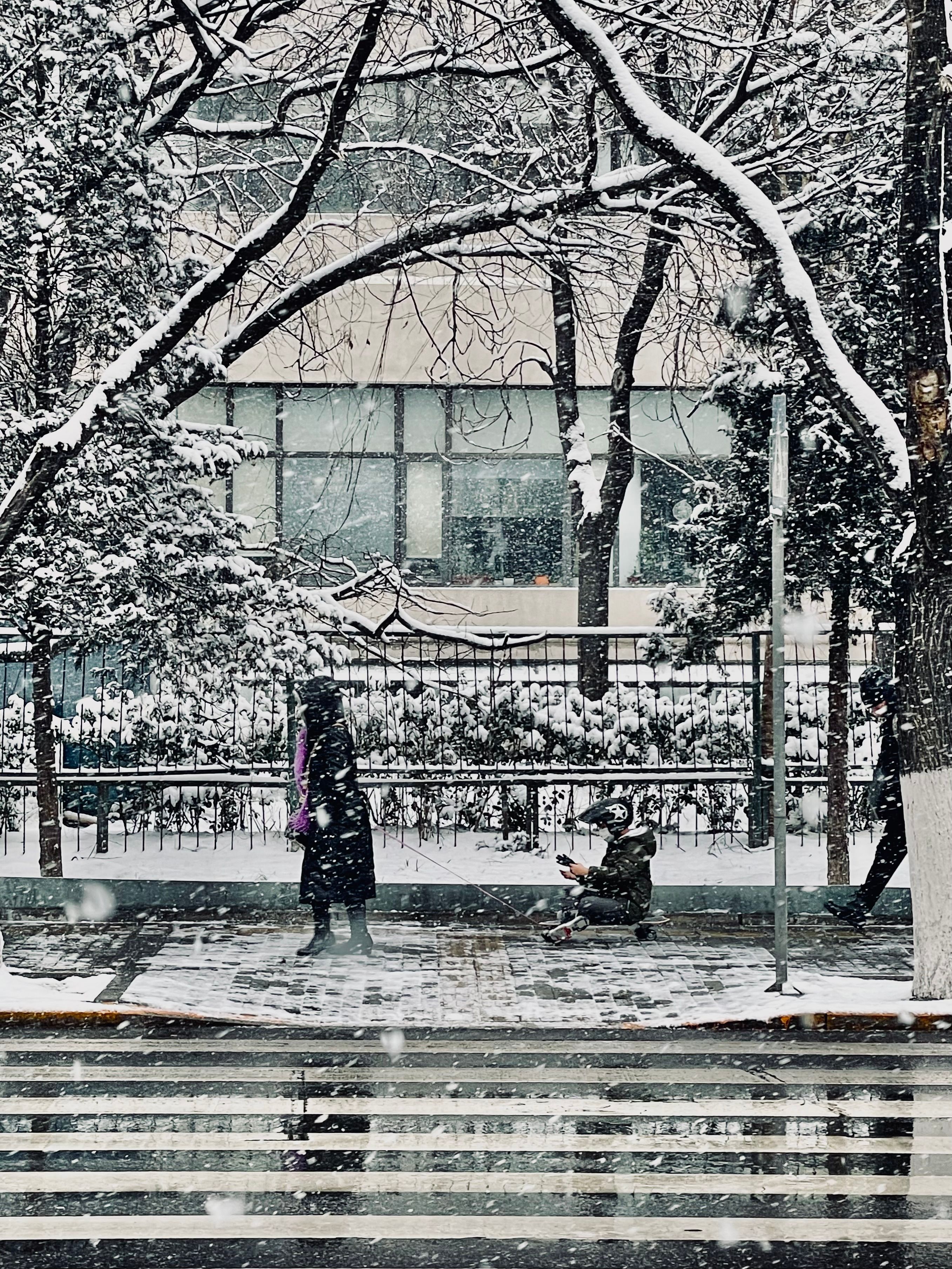 City Street in Snow and Woman Pulling a Boy on a Sledge · Free Stock Photo