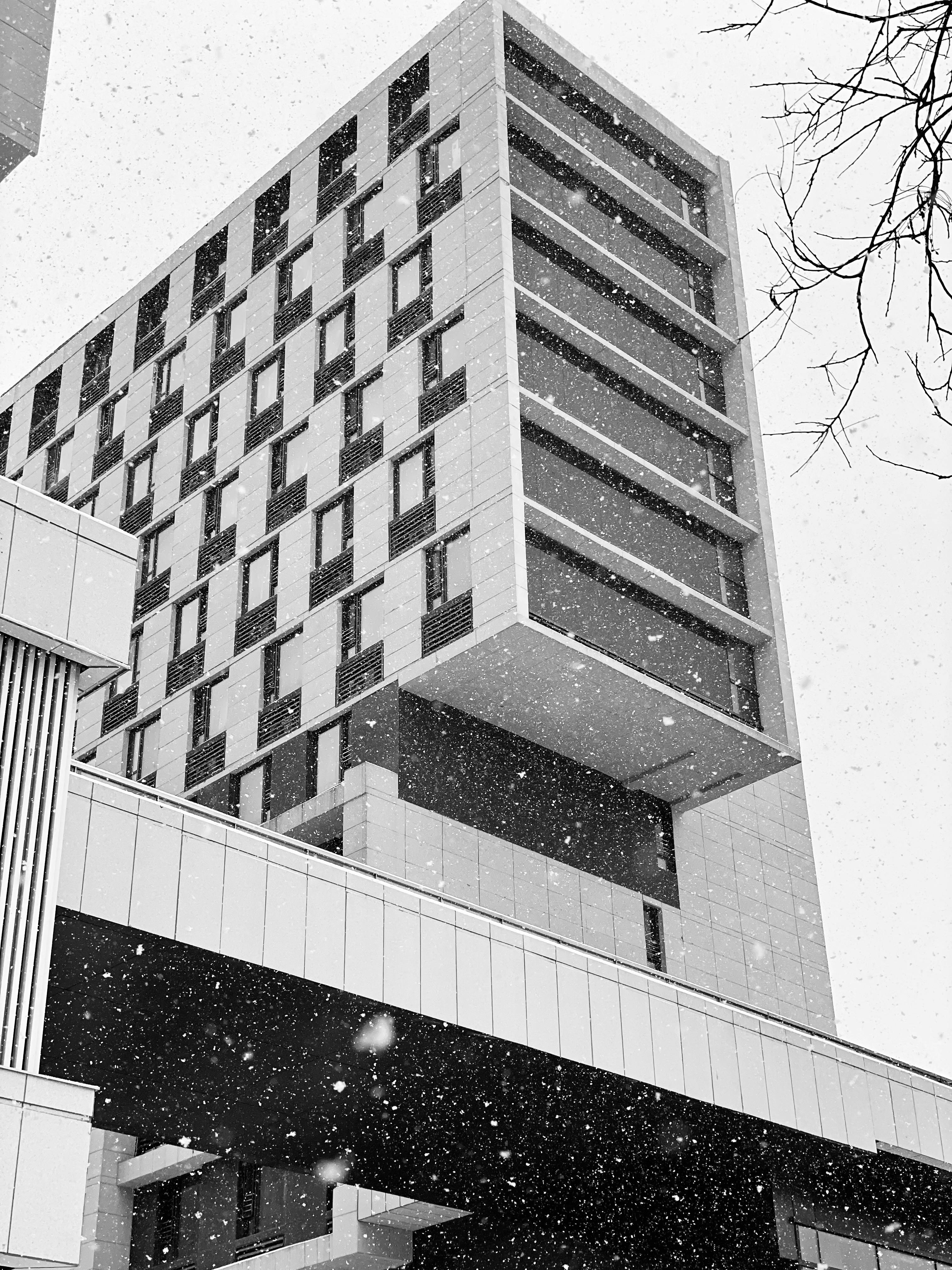 Snows on Red Roof Closeup Photo · Free Stock Photo