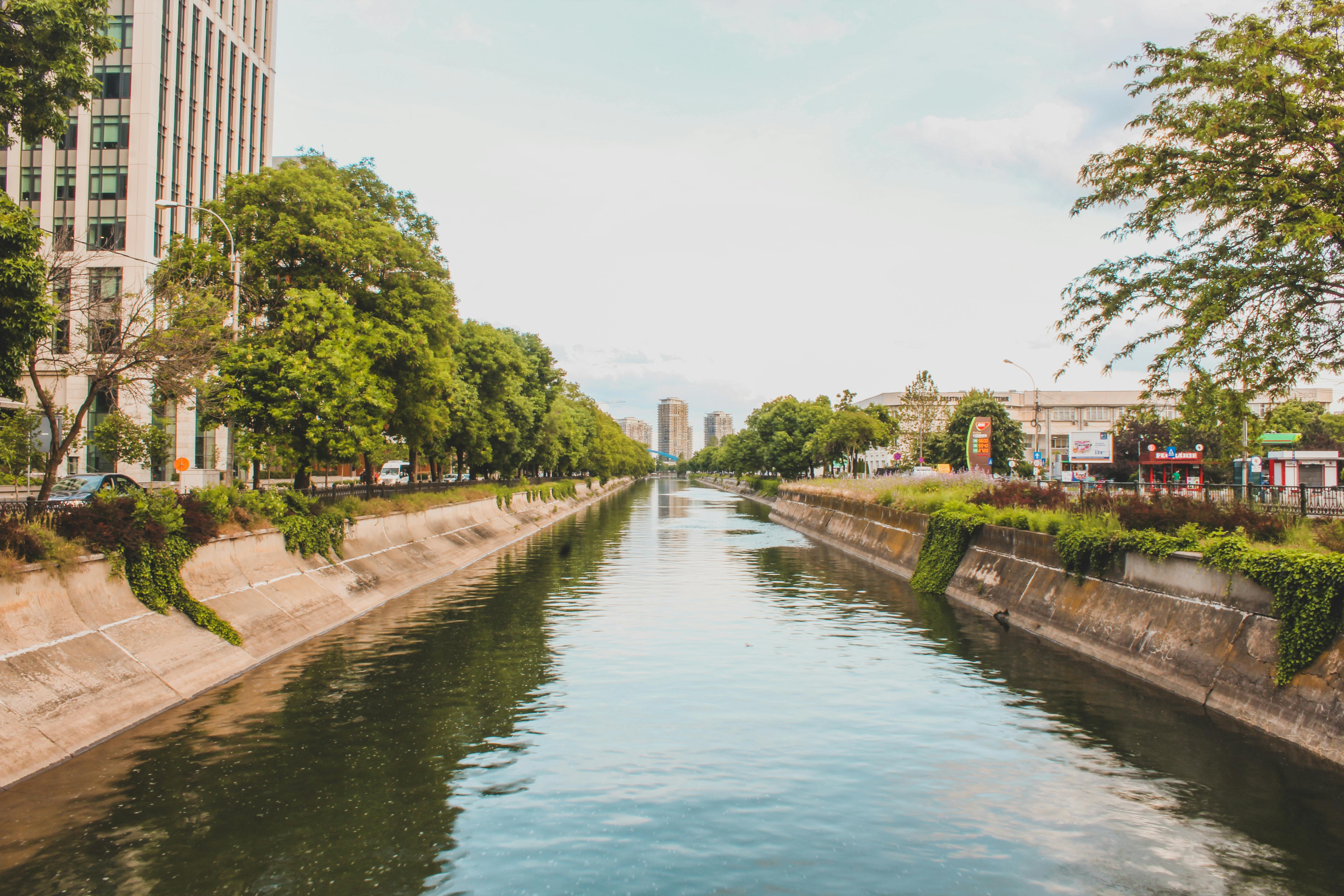 Concrete Waterway in the City Near the Trees · Free Stock Photo