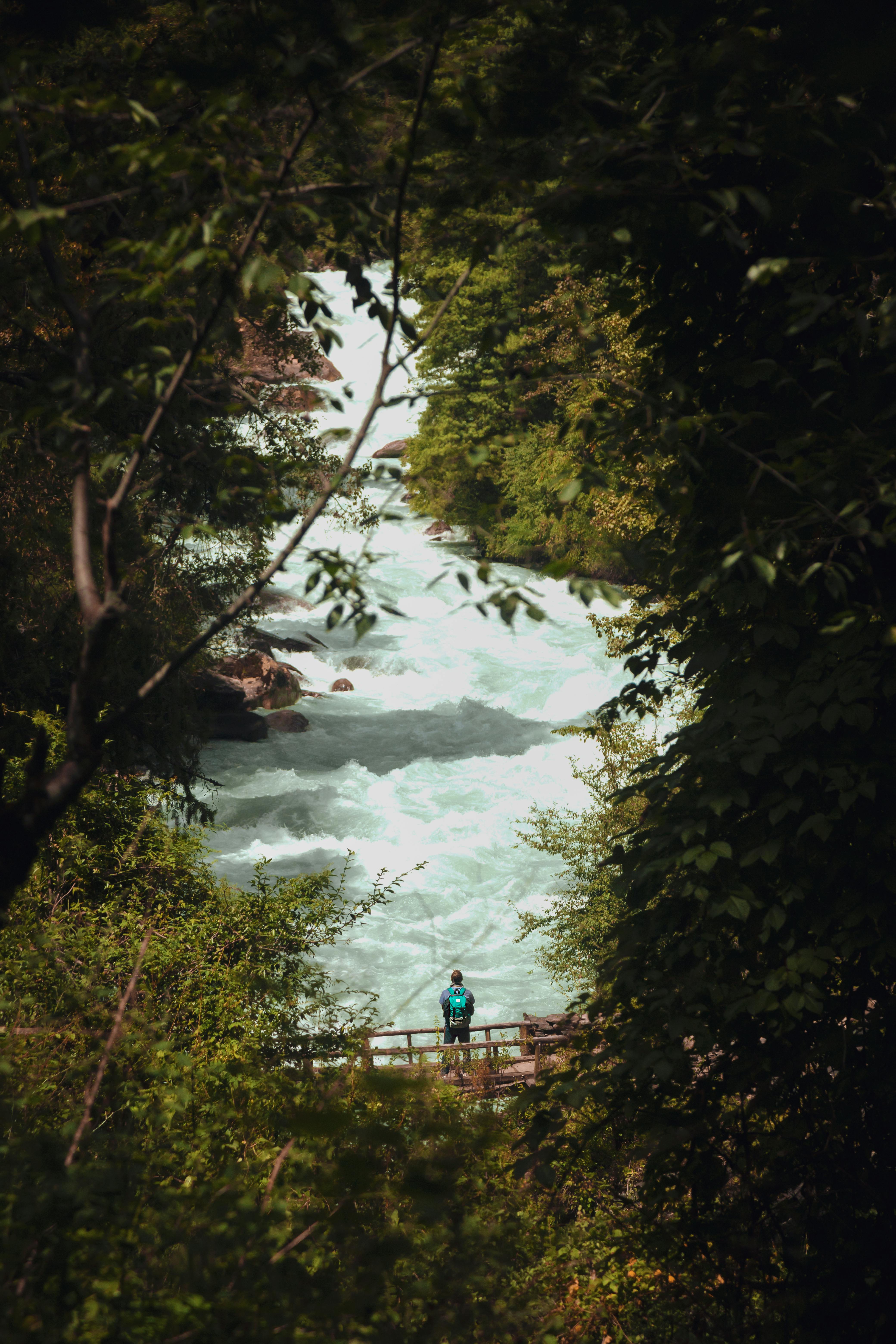 1,000+ Best Trending Photos · 100% Free Download · Pexels Stock Photos