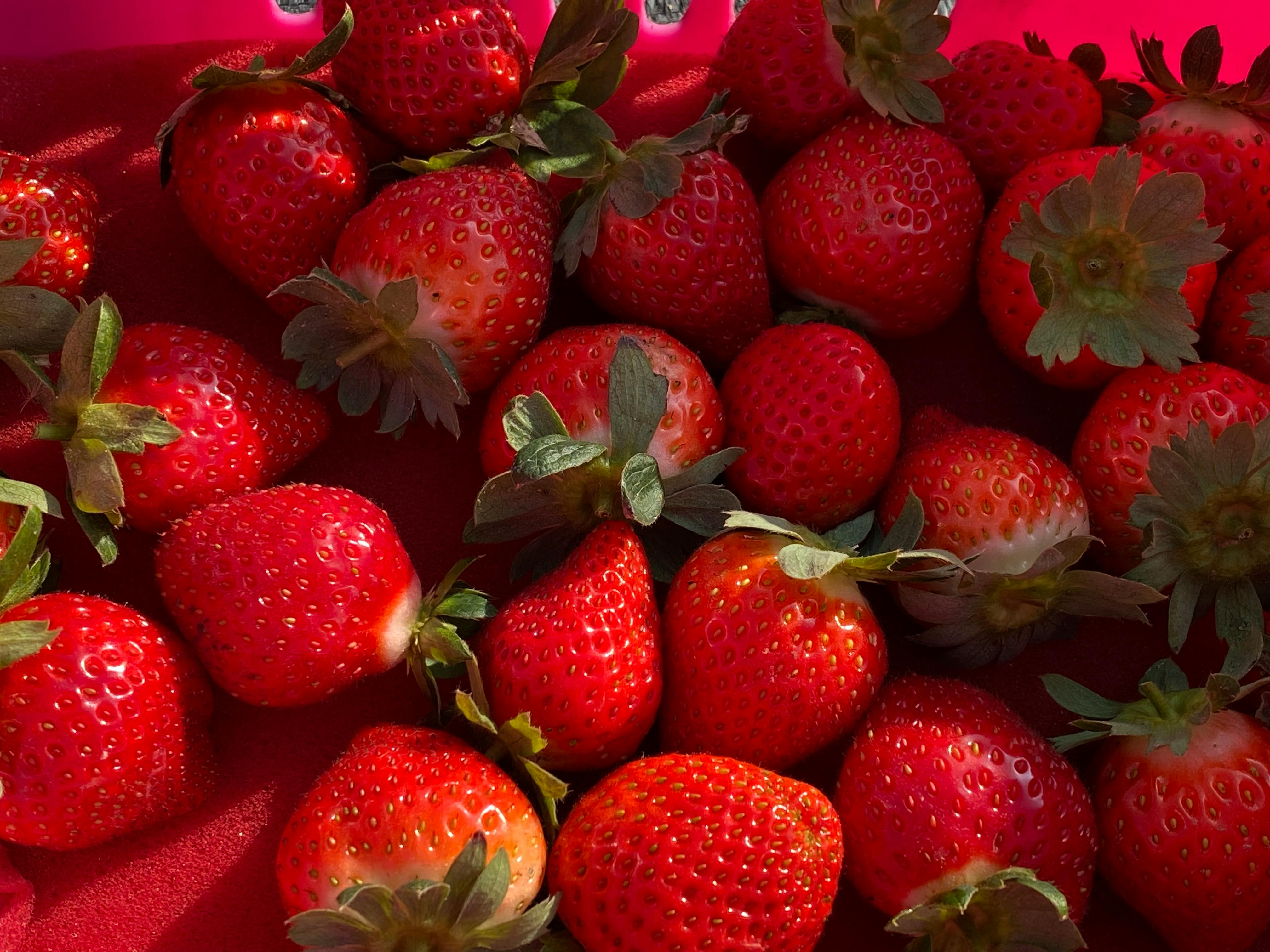 A Close-Up Shot of a Pile of Strawberries · Free Stock Photo