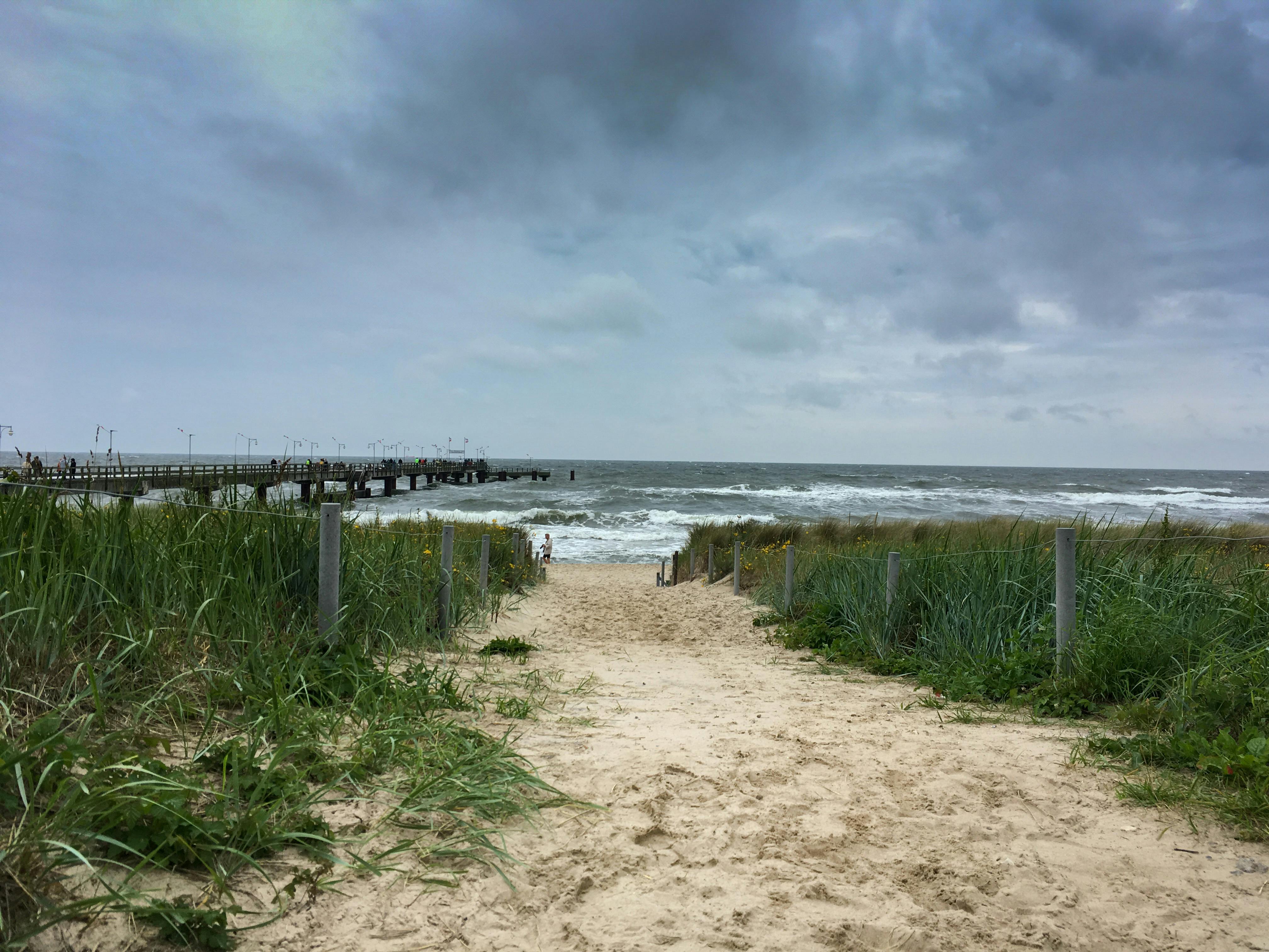 Pathway Leading the the Sea · Free Stock Photo