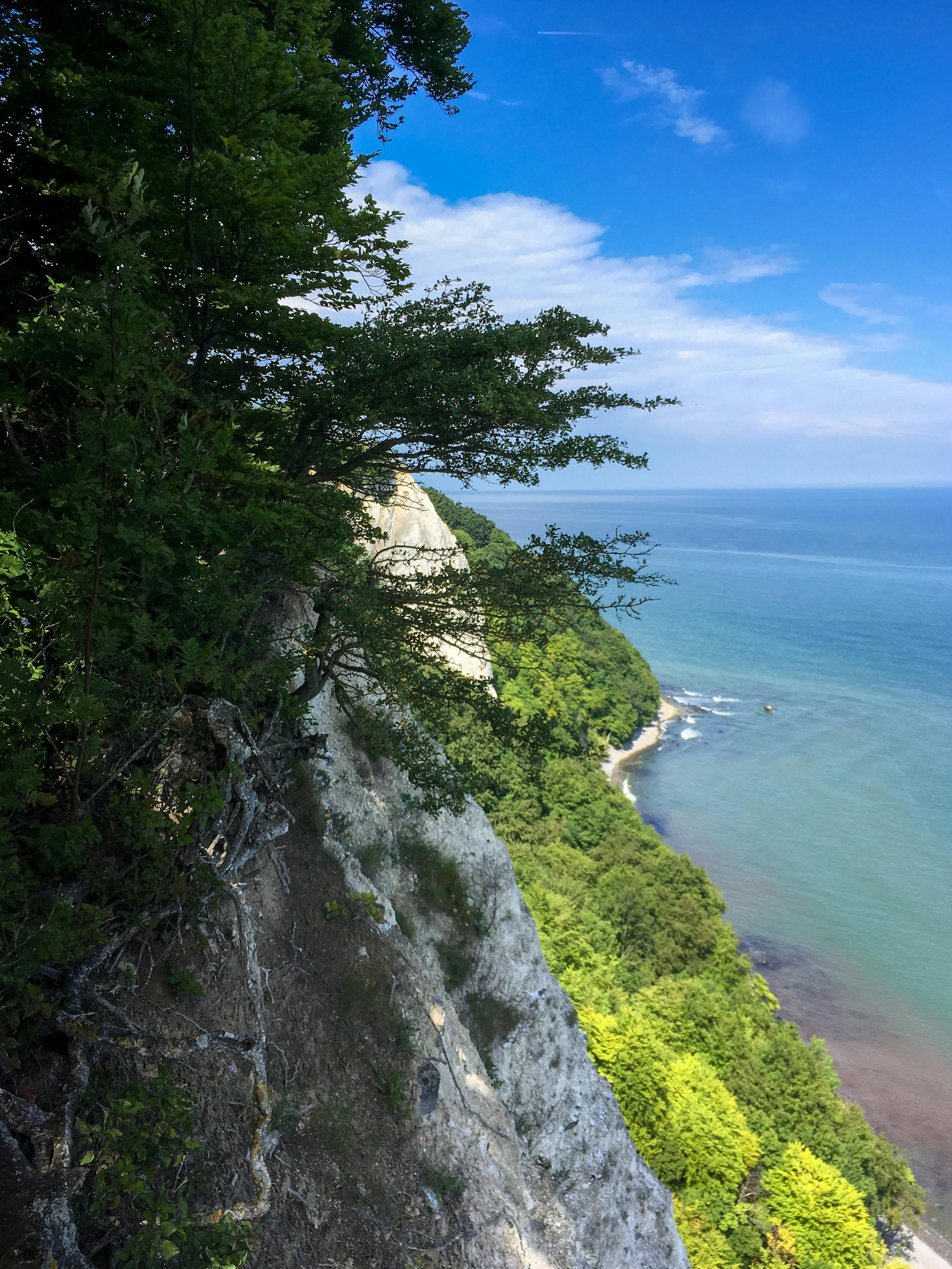 Christoph Plambeck - 写真