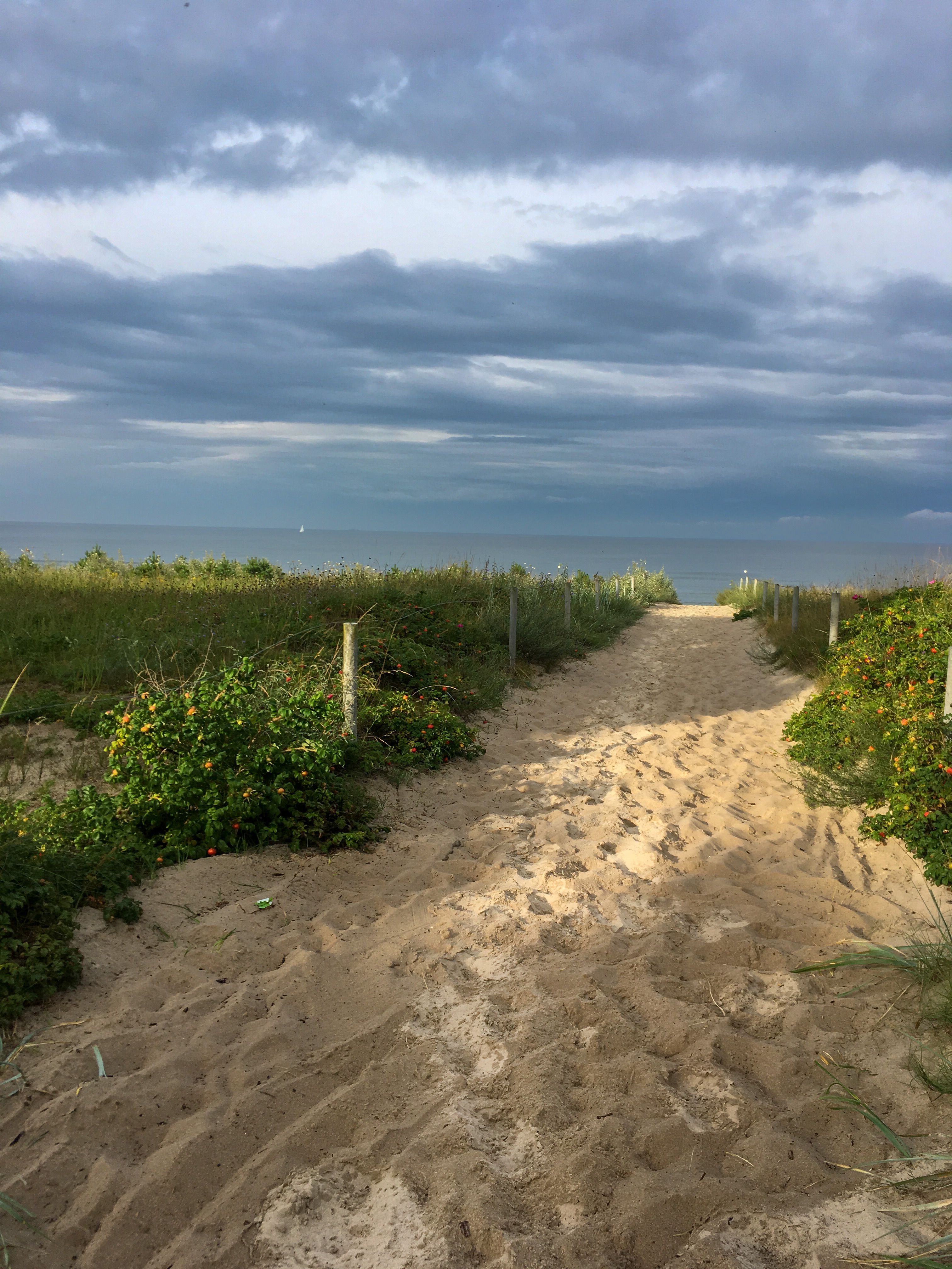 Pathway Leading the the Sea · Free Stock Photo