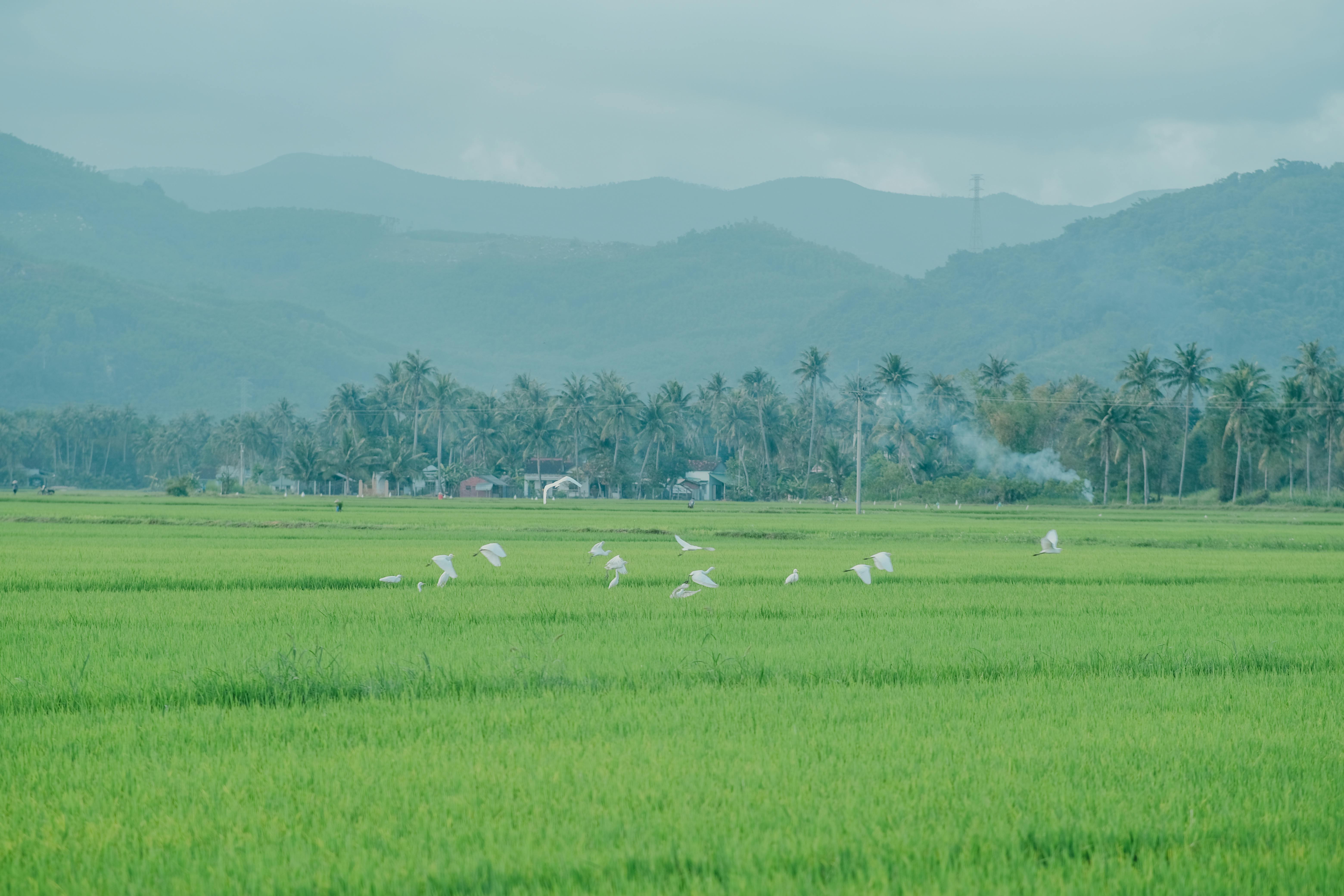 Blue Hills Photos, Download The BEST Free Blue Hills Stock Photos & HD ...