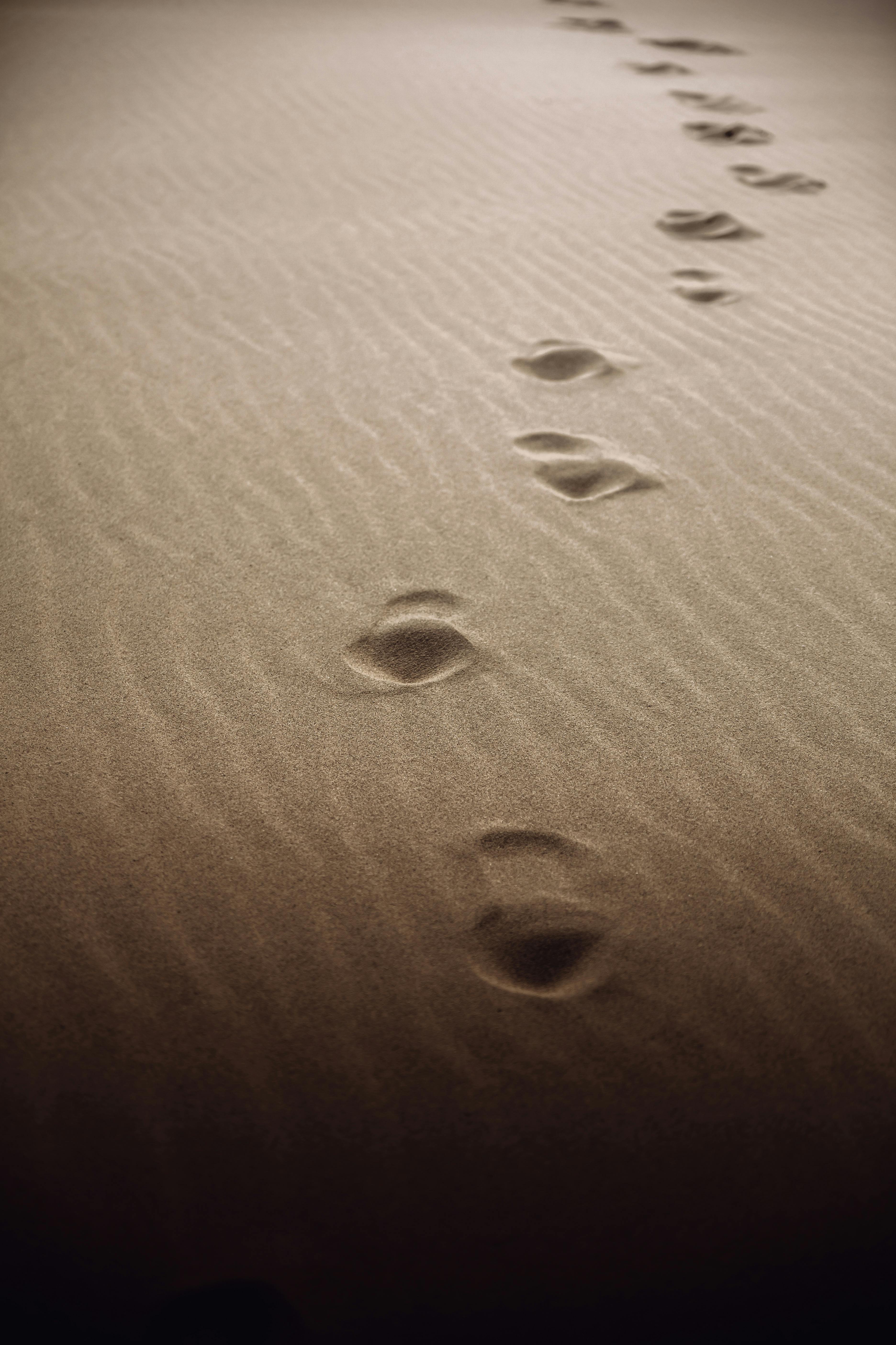 Single Foot Print on the Sand · Free Stock Photo