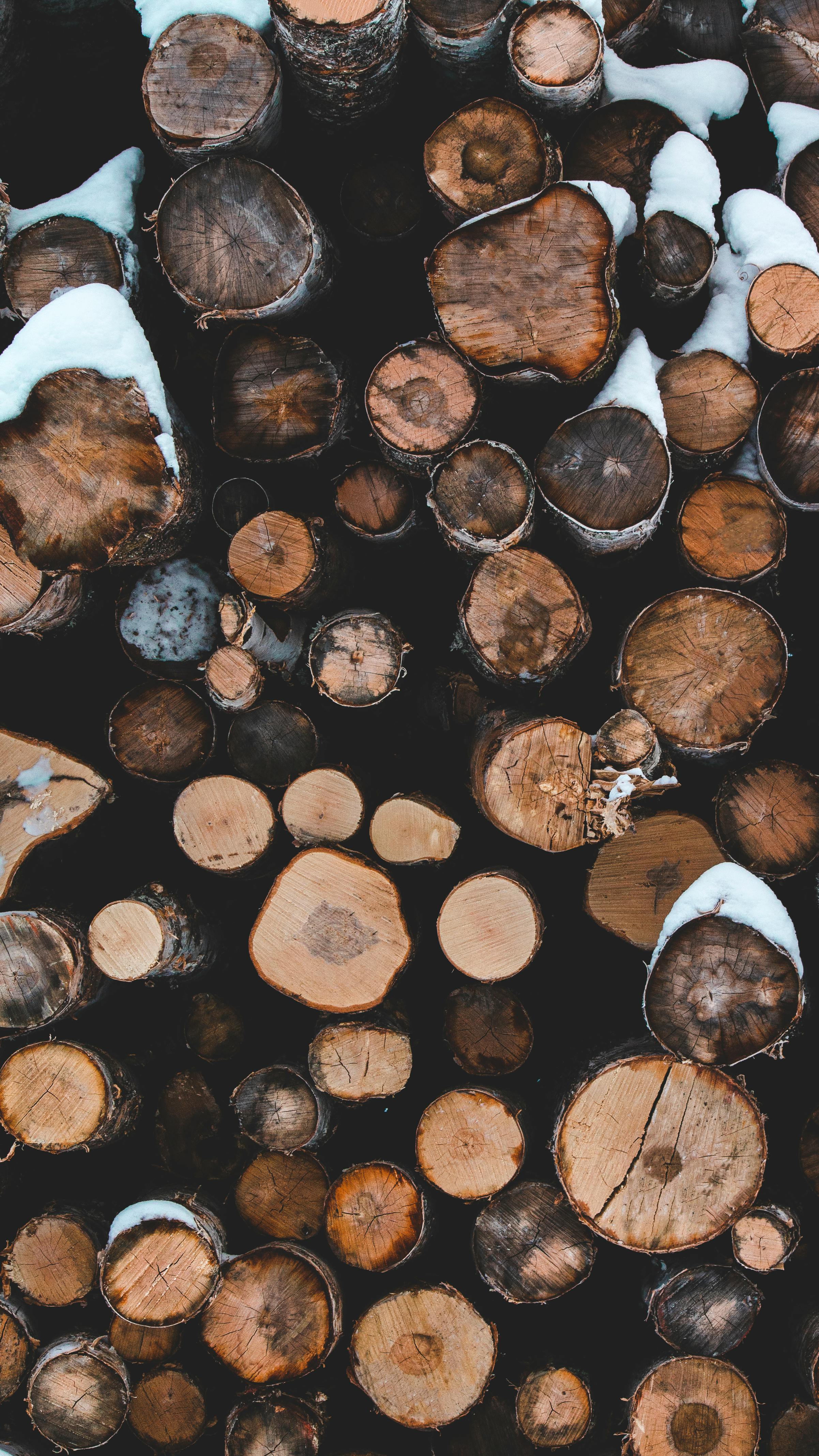 Black E-book Reader on Brown Tree Logs · Free Stock Photo