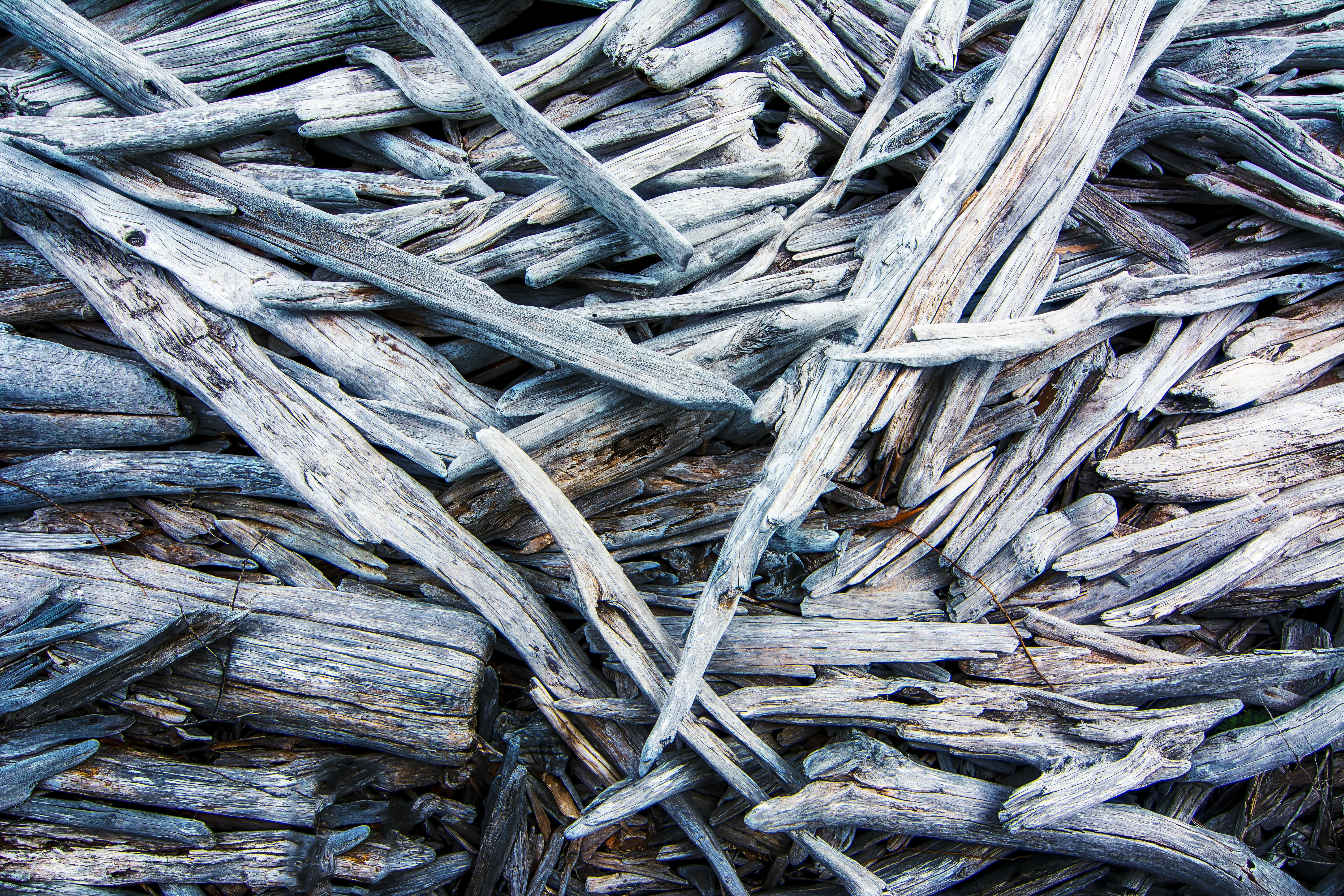 Best Splinter Photos · 100% Free Download · Pexels Stock Photos