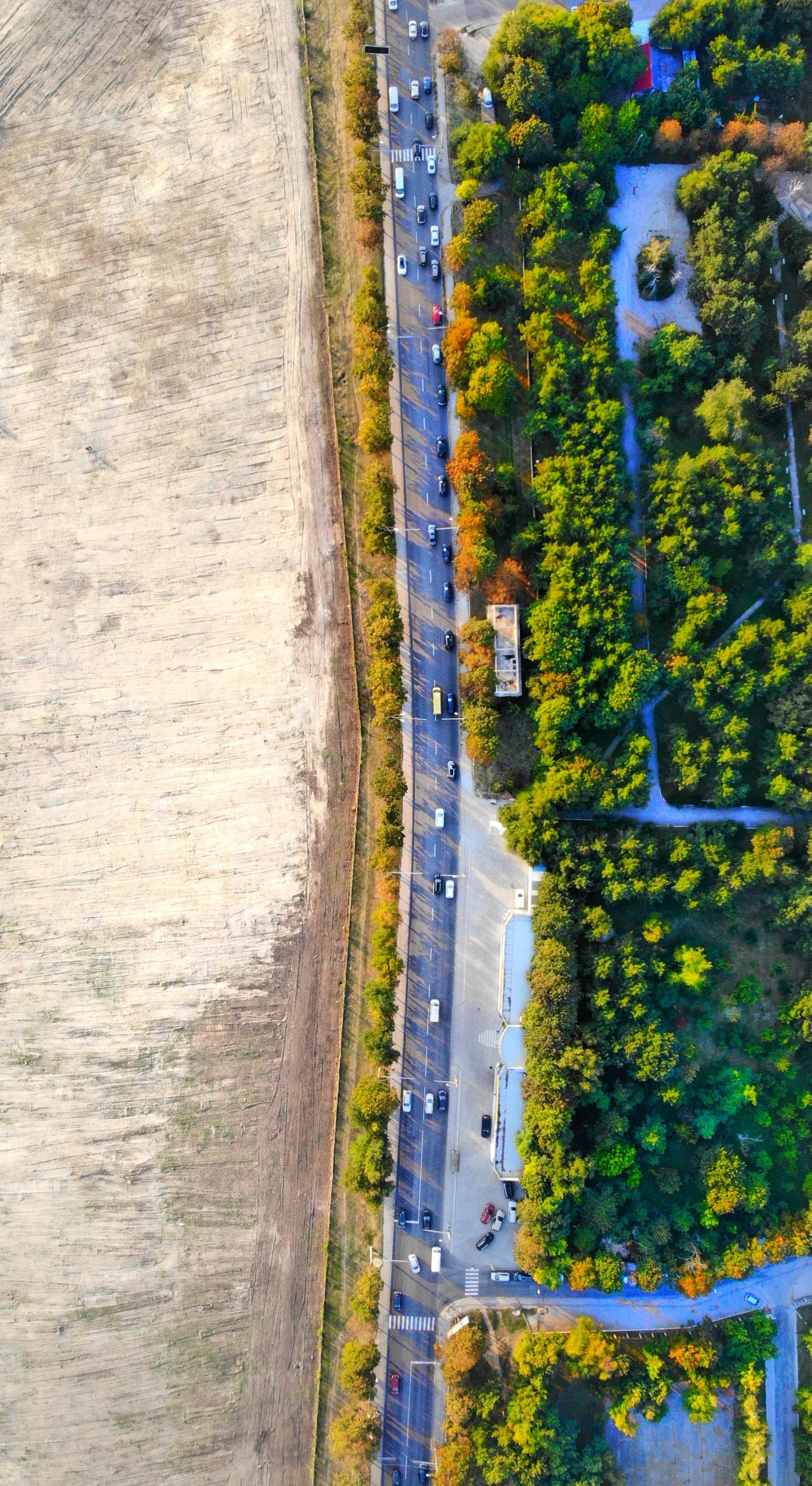 Cars on Road near Trees and Field · Free Stock Photo