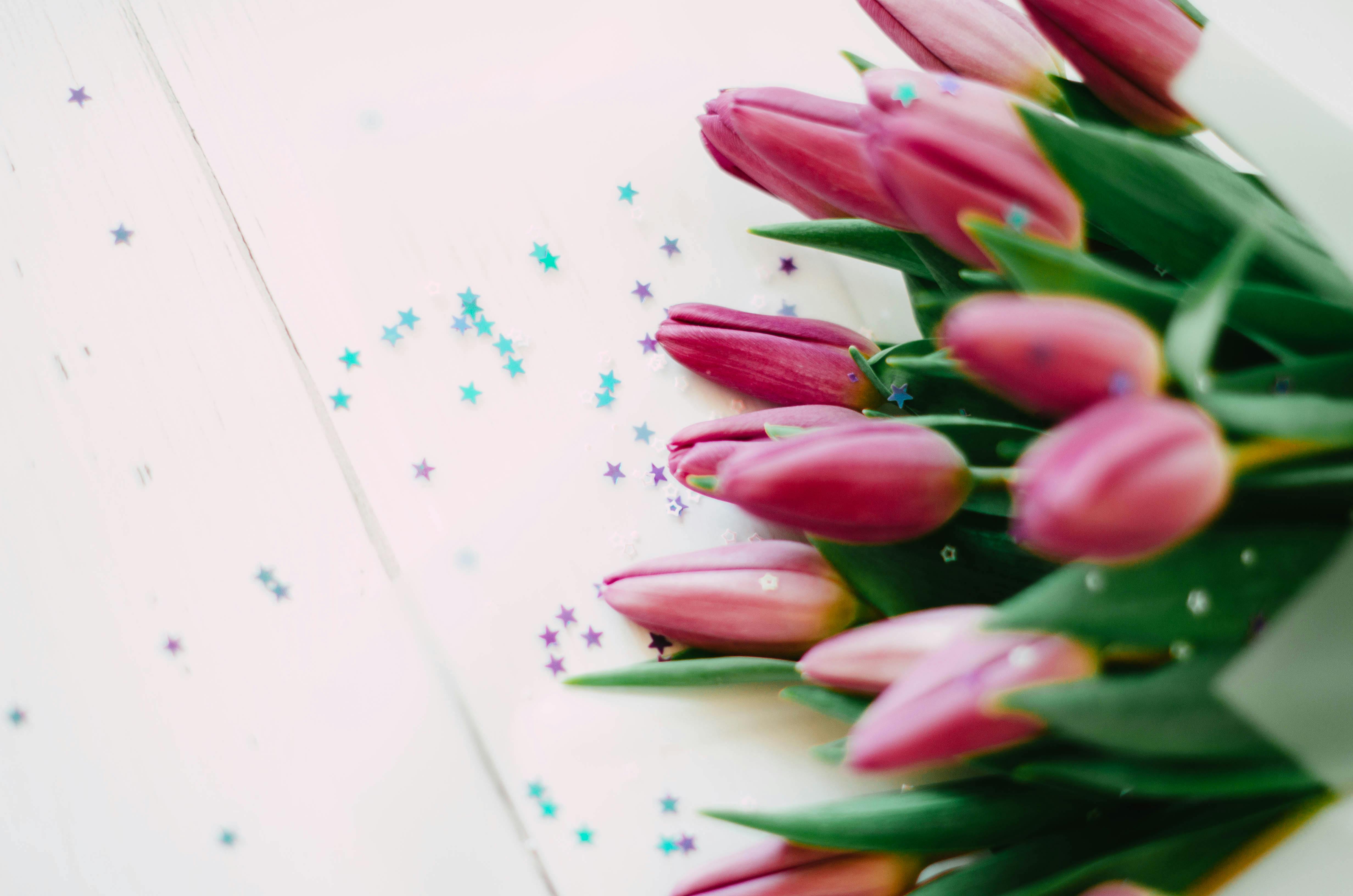 Flower Confetti Photos, Download The BEST Free Flower Confetti Stock ...