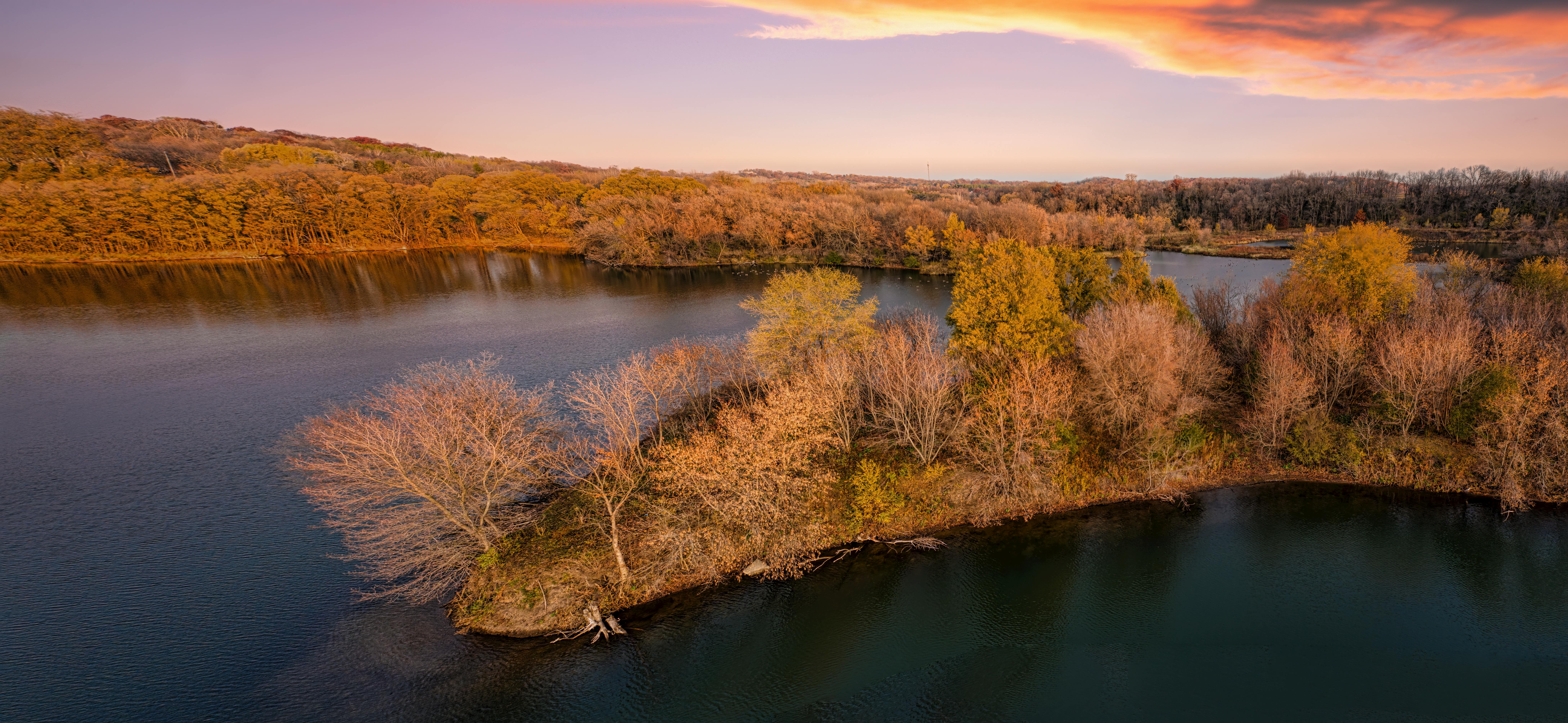 Green Trees Near River · Free Stock Photo