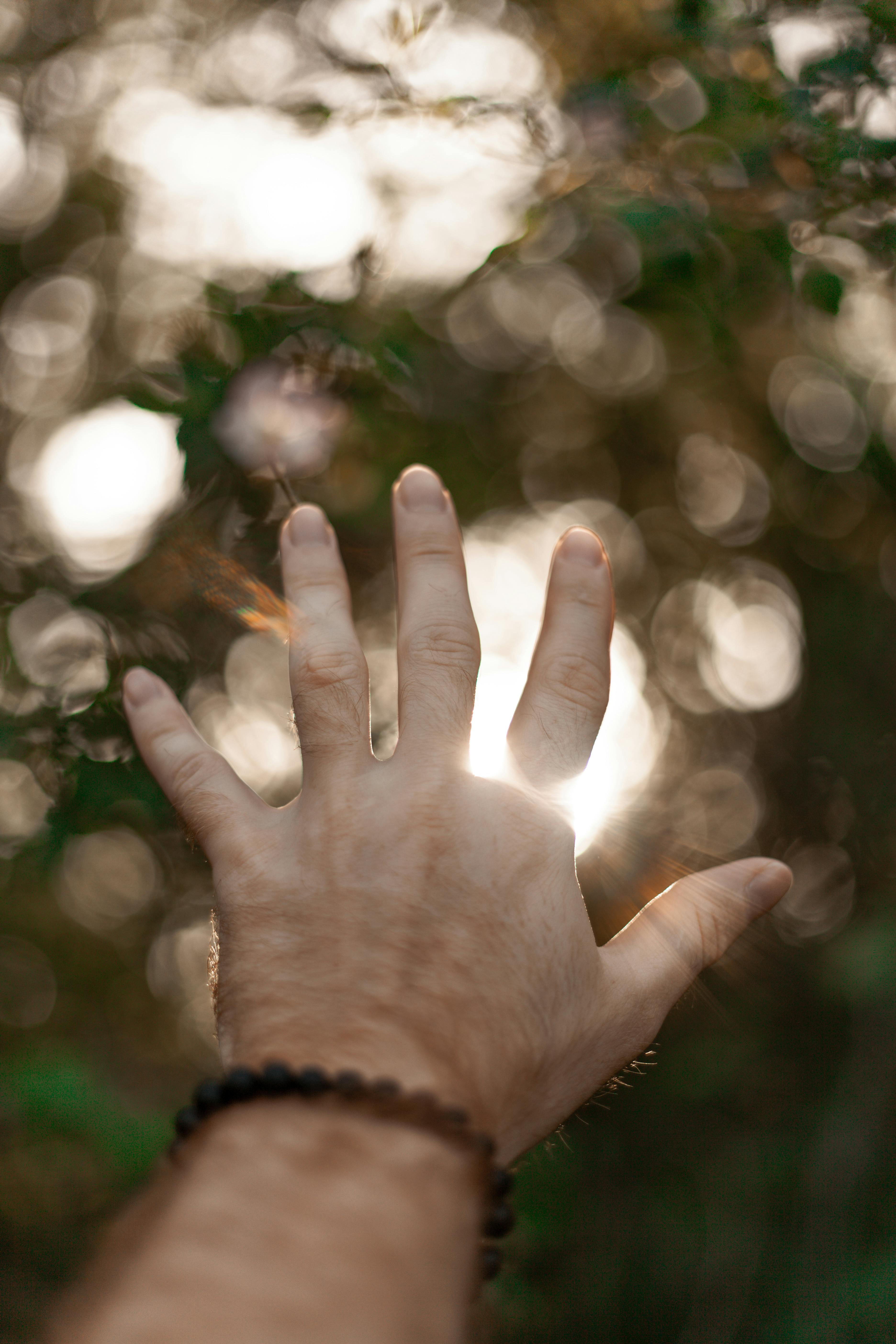 Selective Focus Photography Of Hand · Free Stock Photo