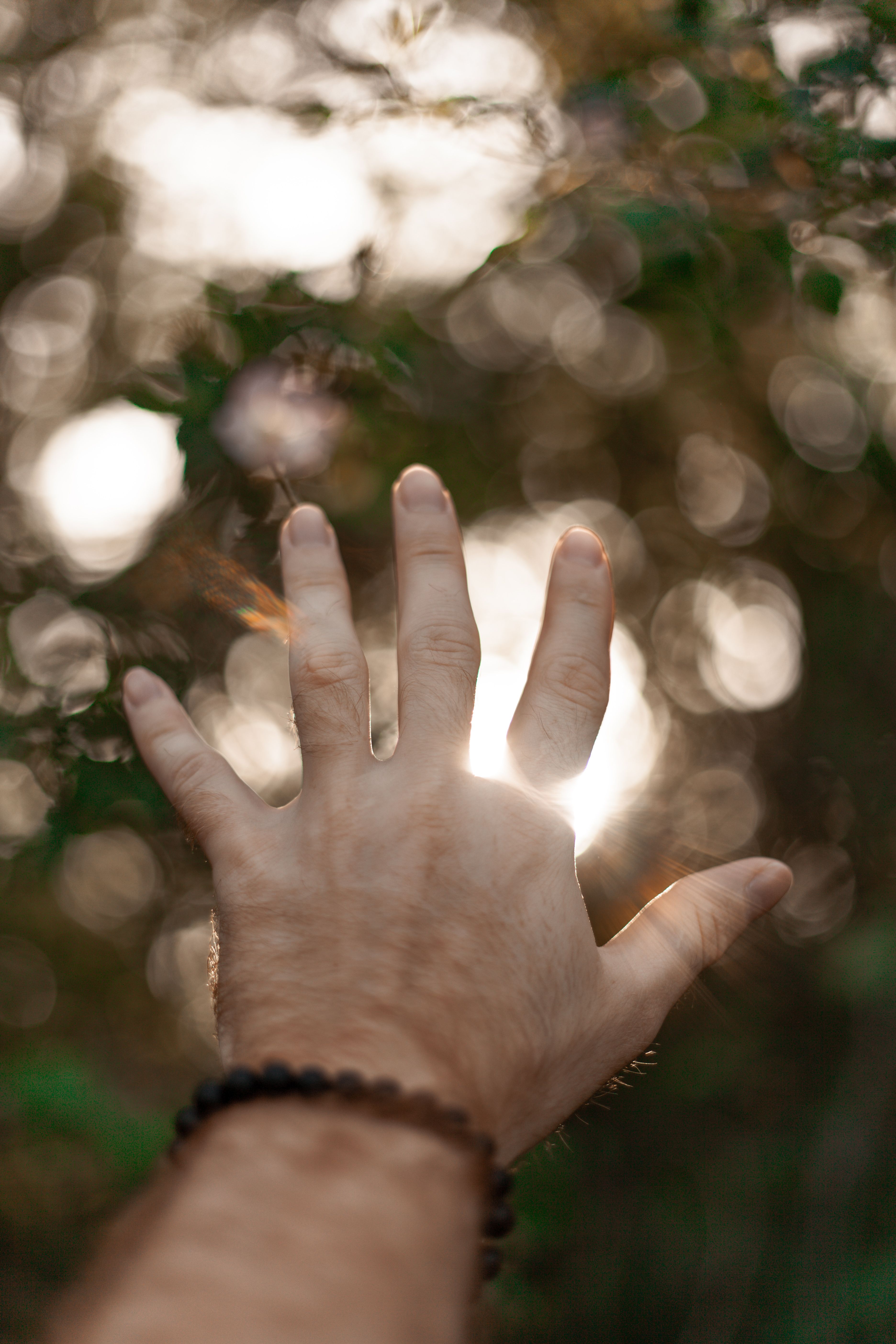 A Close-Up Shot of People Holding Hands · Free Stock Photo