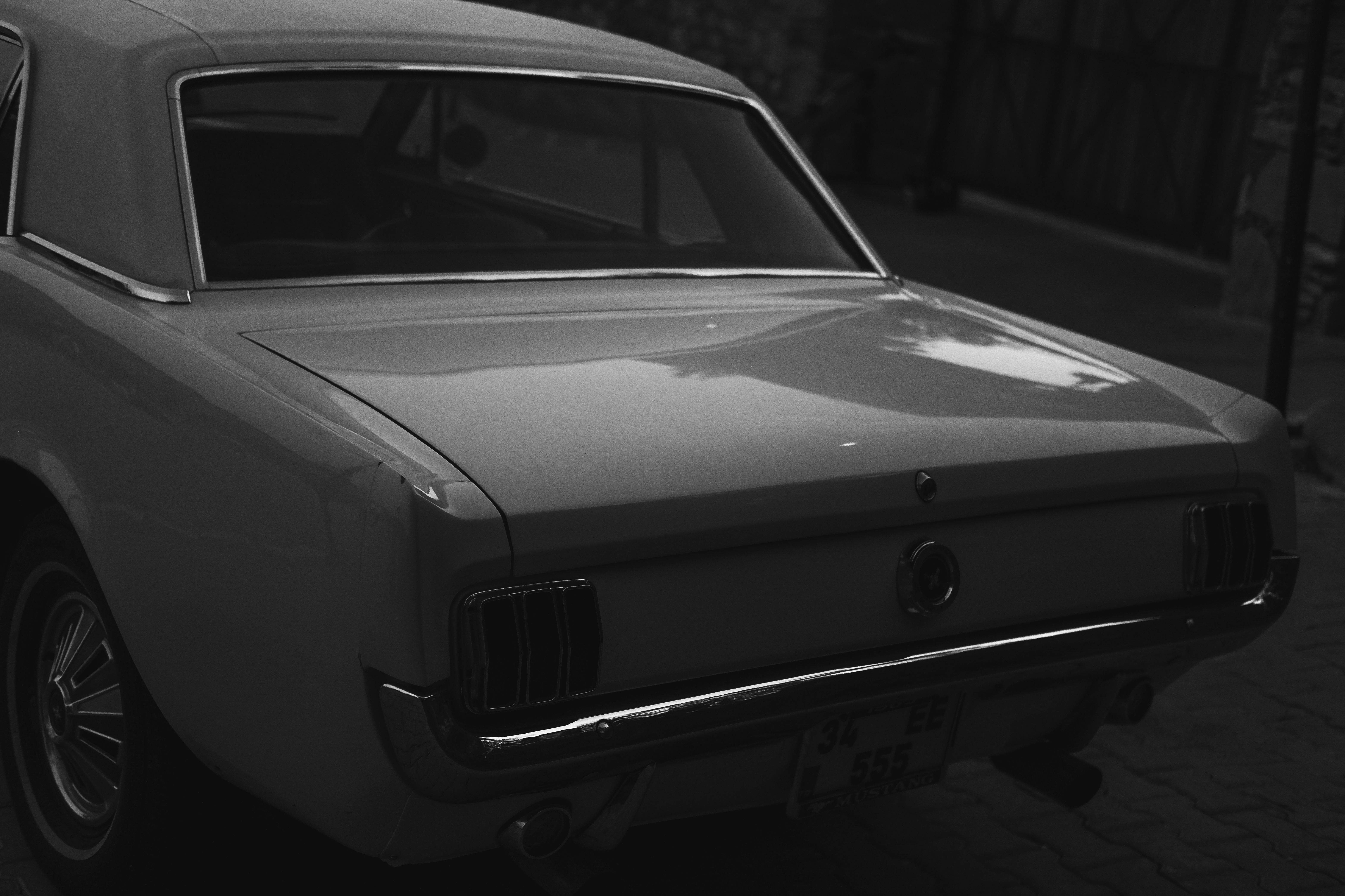 Mustang Name on Ford Livery · Free Stock Photo