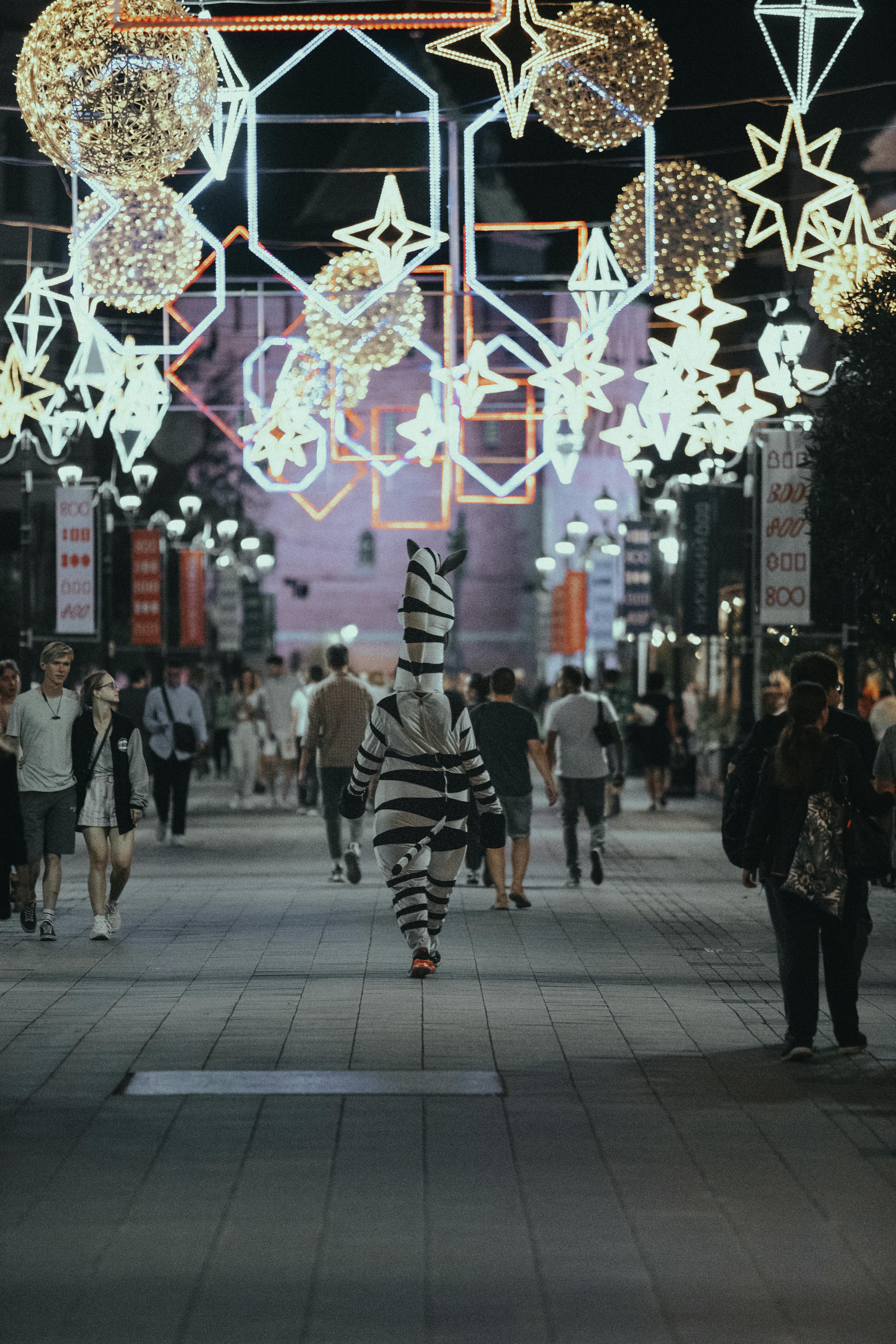 Person in Zebra Costume · Free Stock Photo