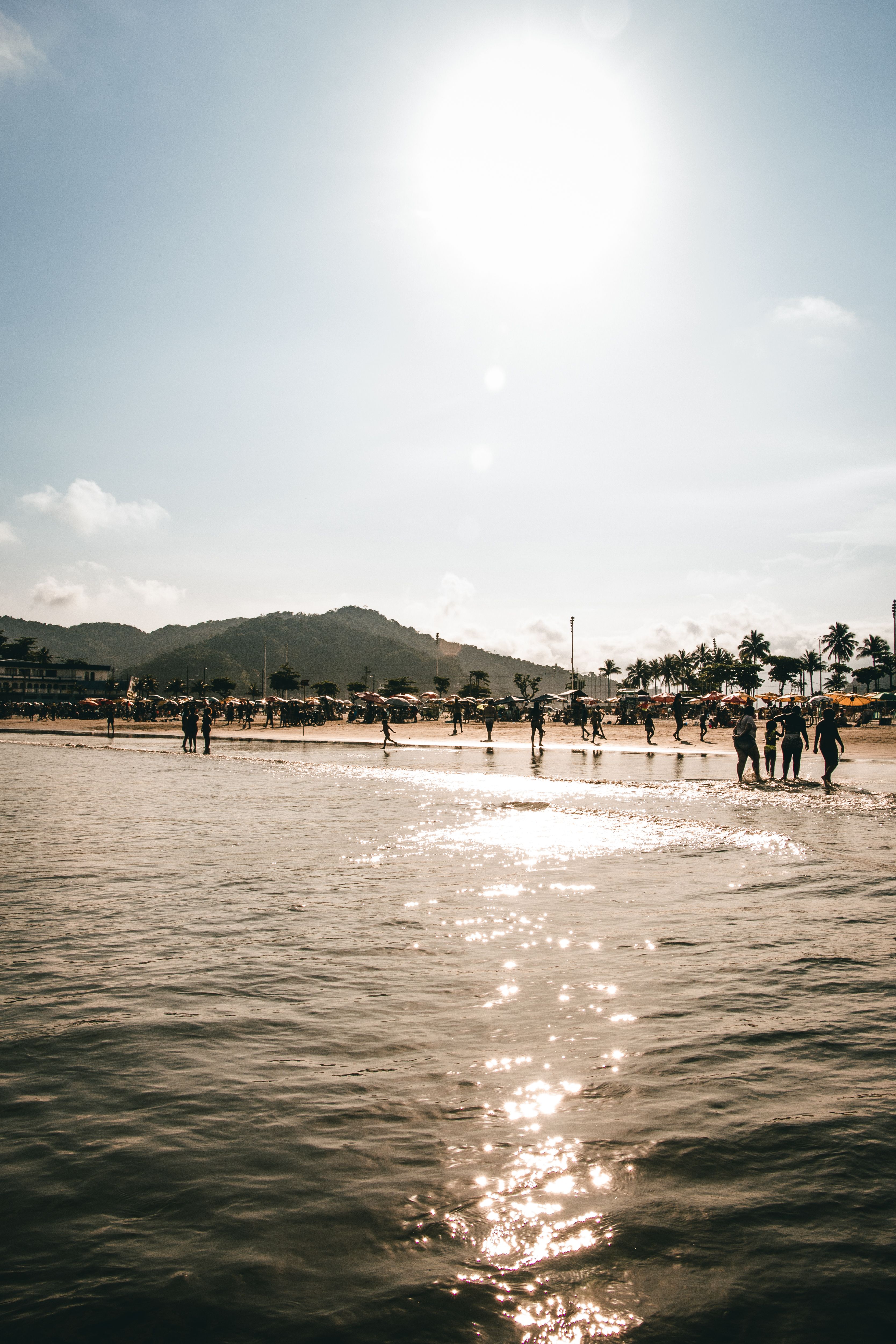 People Relaxing on the Beach · Free Stock Photo