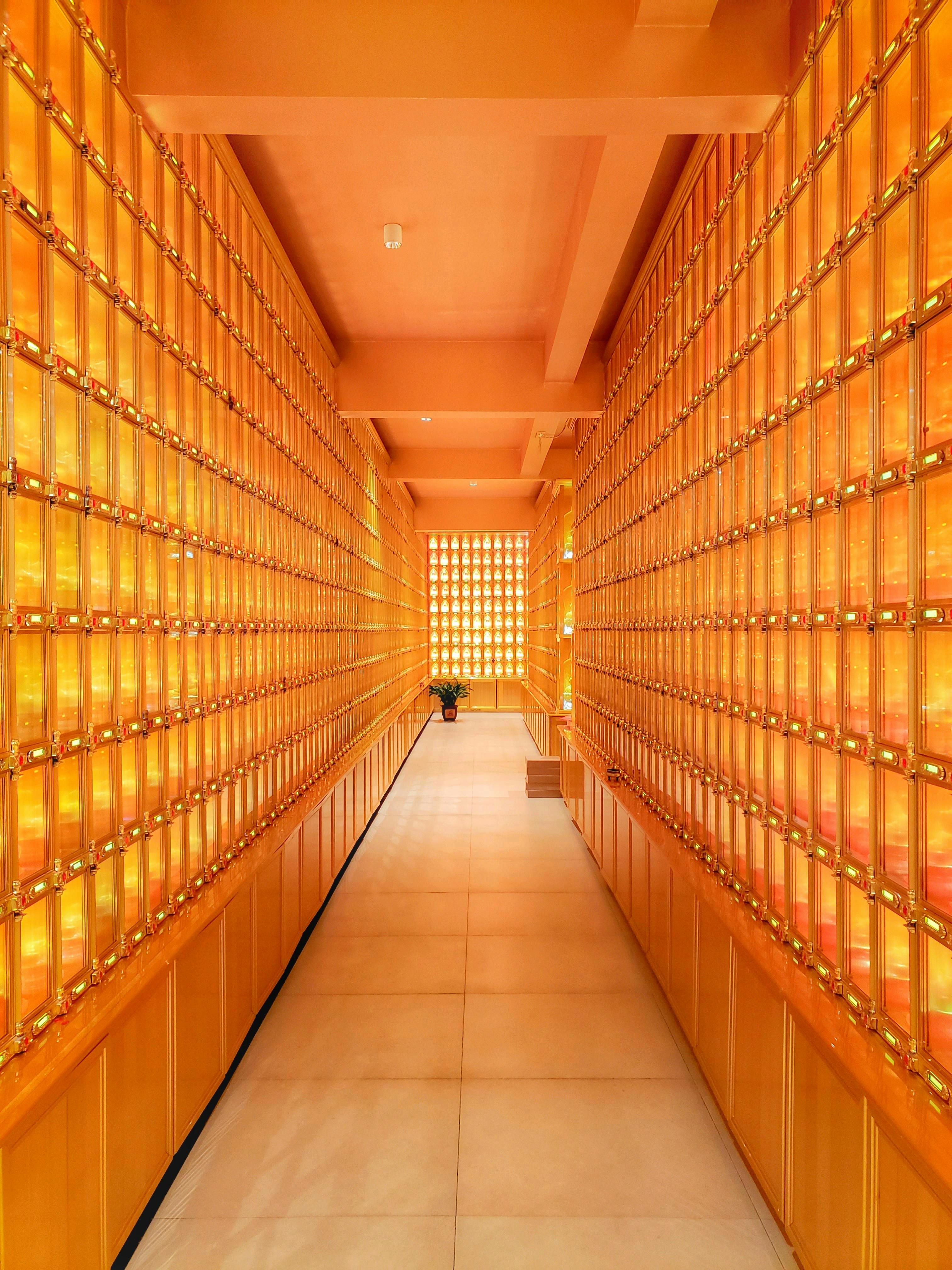 Luxury Building Hallway · Free Stock Photo