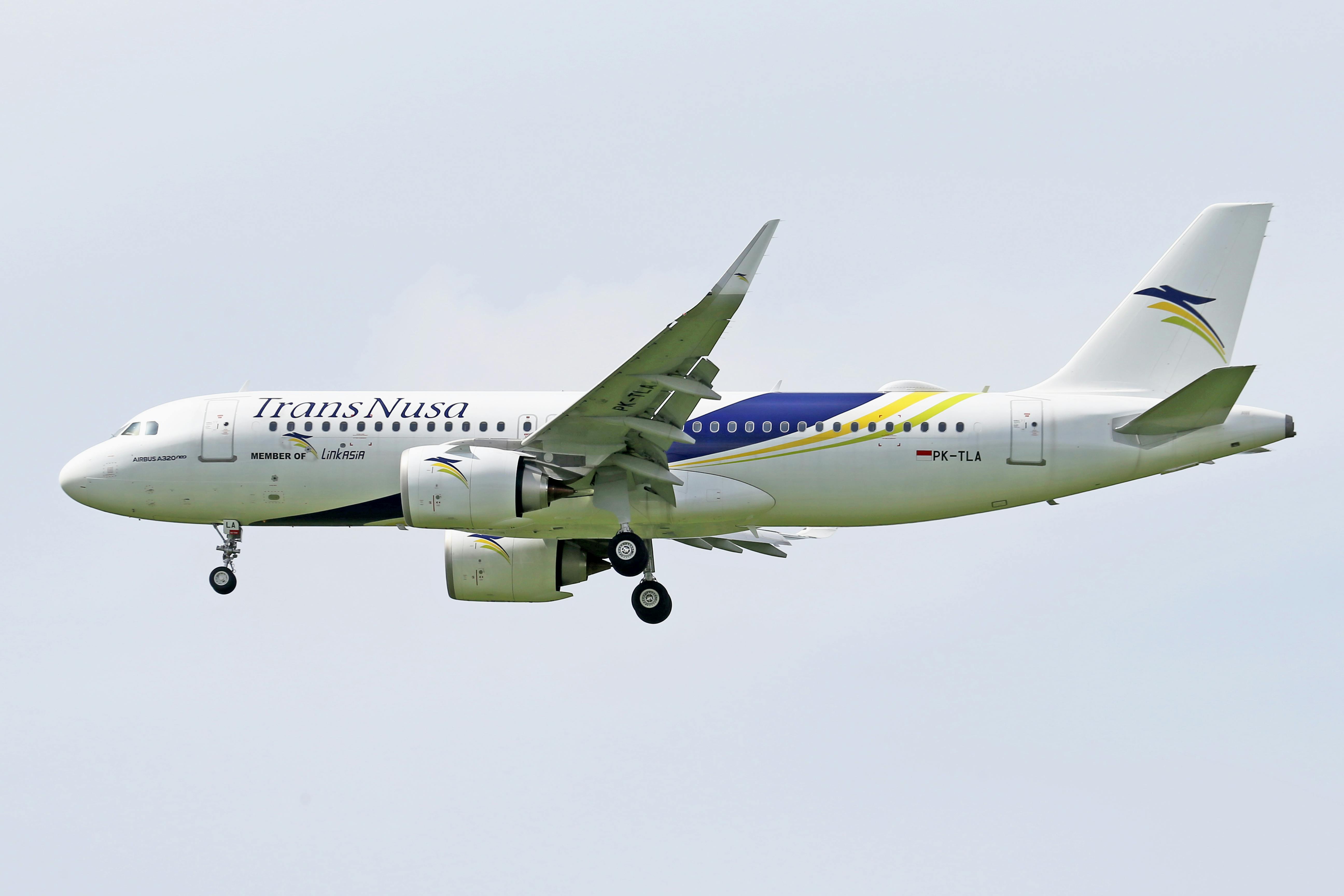 Transnusa Photos, Download The BEST Free Transnusa Stock Photos & HD Images