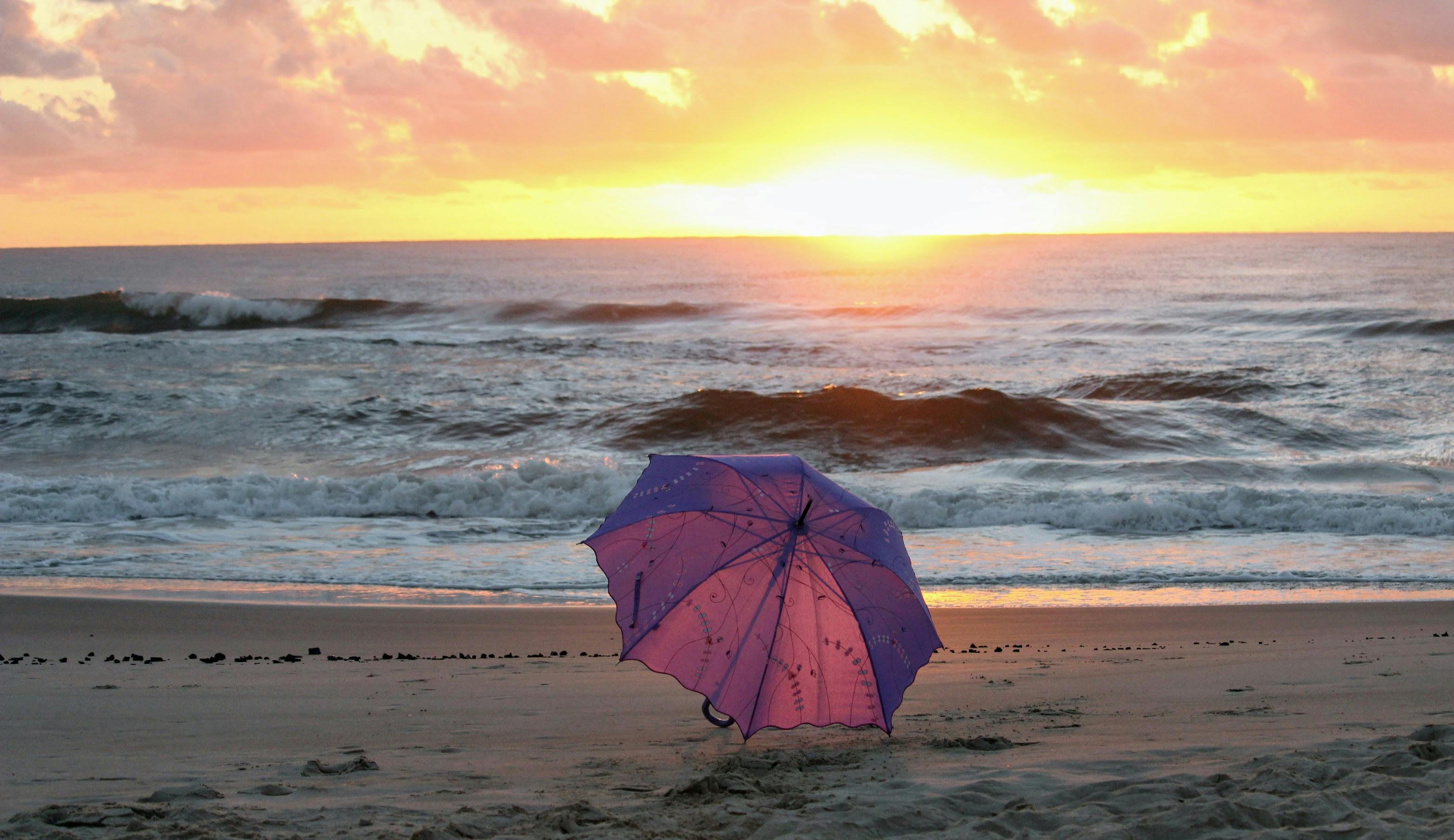 Umbrella on the Beach · Free Stock Photo