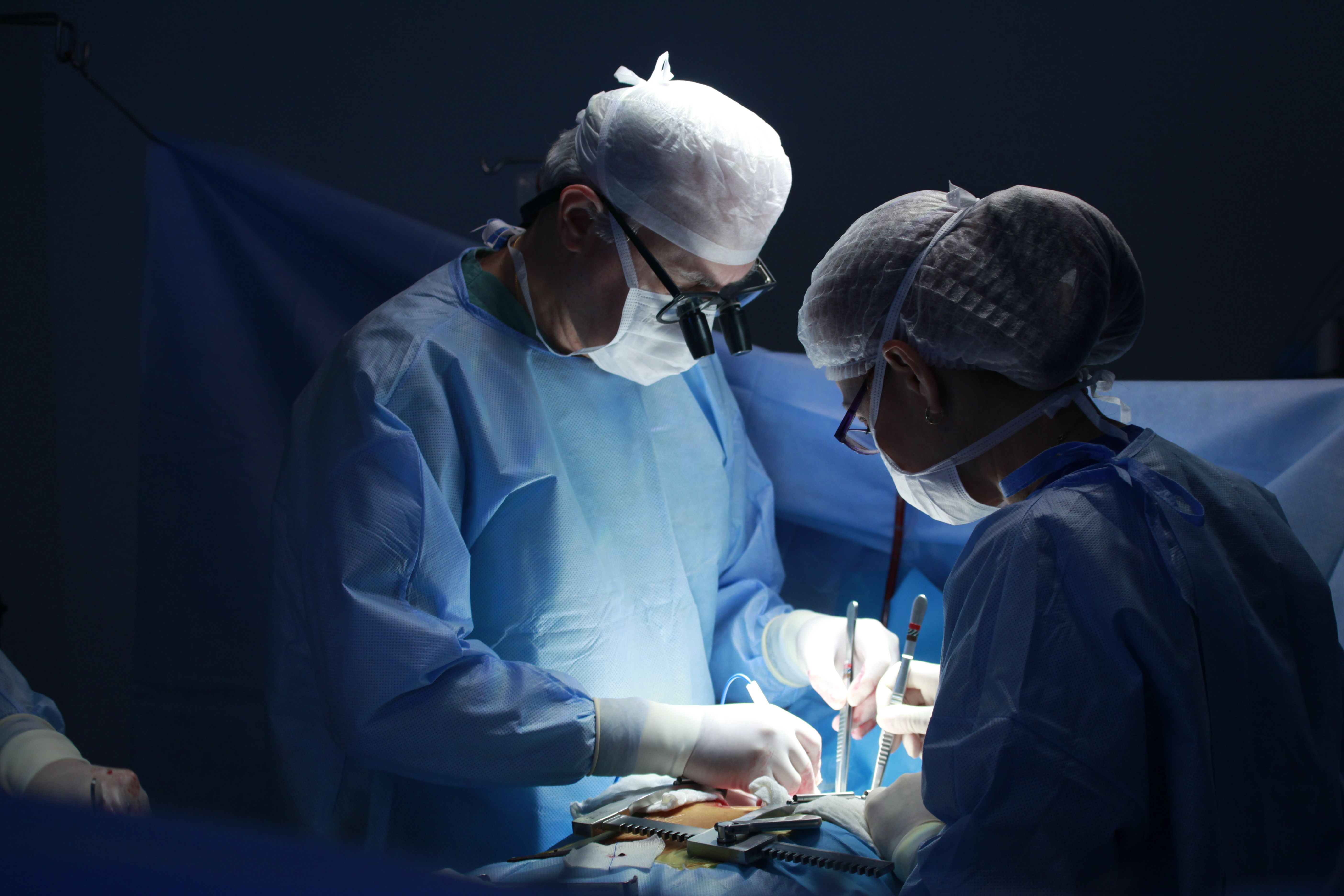 Black and White Close Up Photo of Surgeons Hands · Free Stock Photo