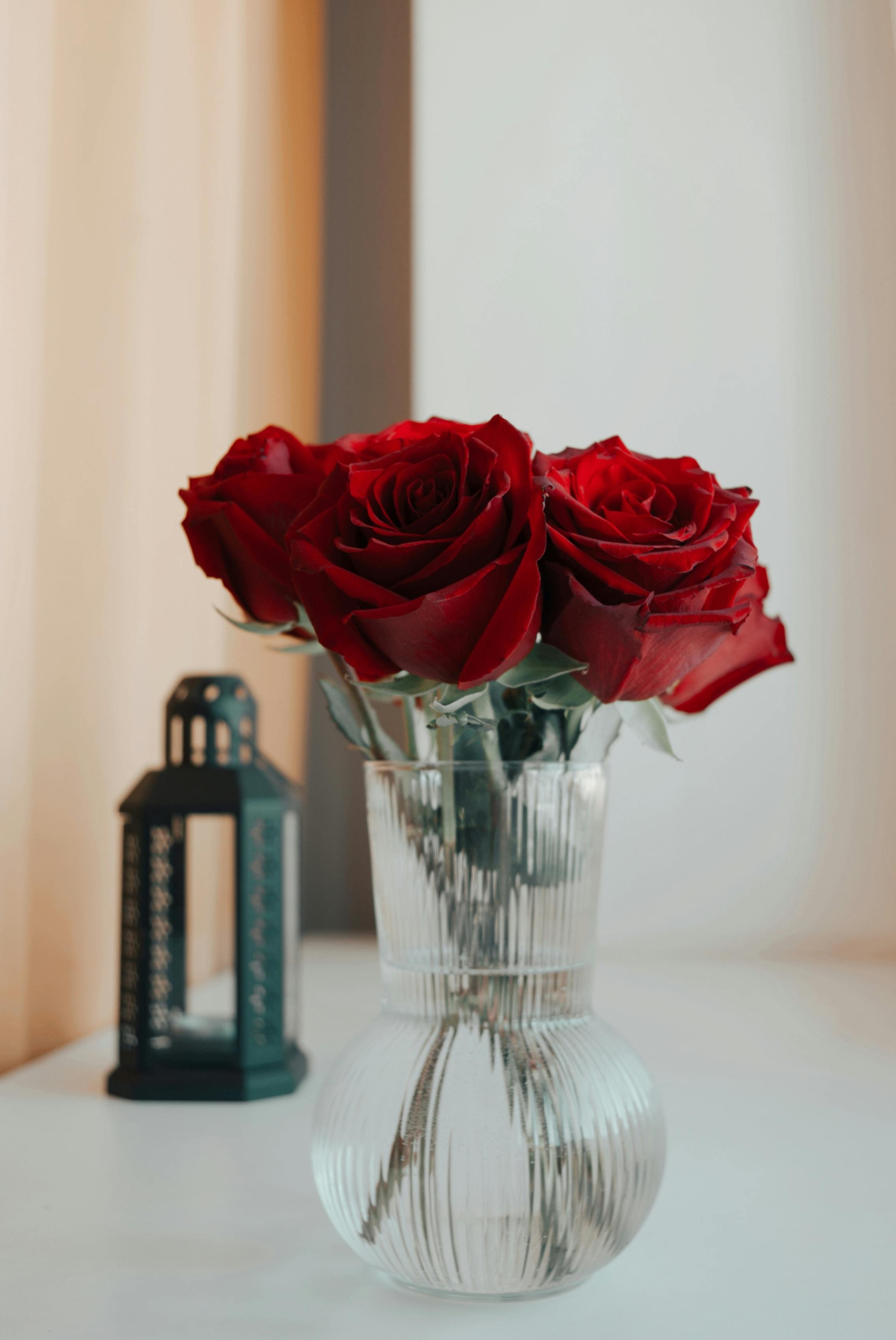 Red Rose on Clear Glass Vase · Free Stock Photo