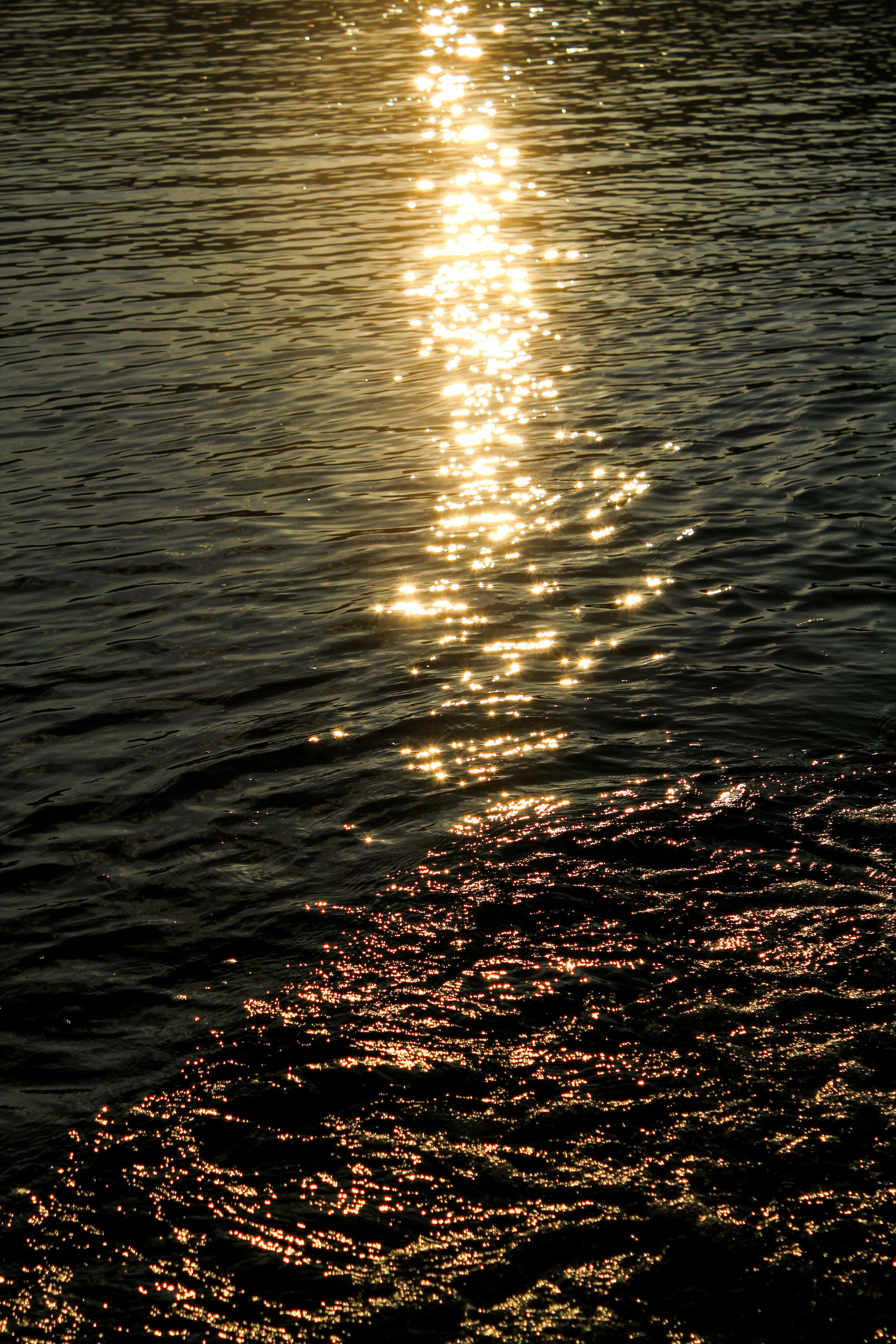 Sunlight on Water · Free Stock Photo