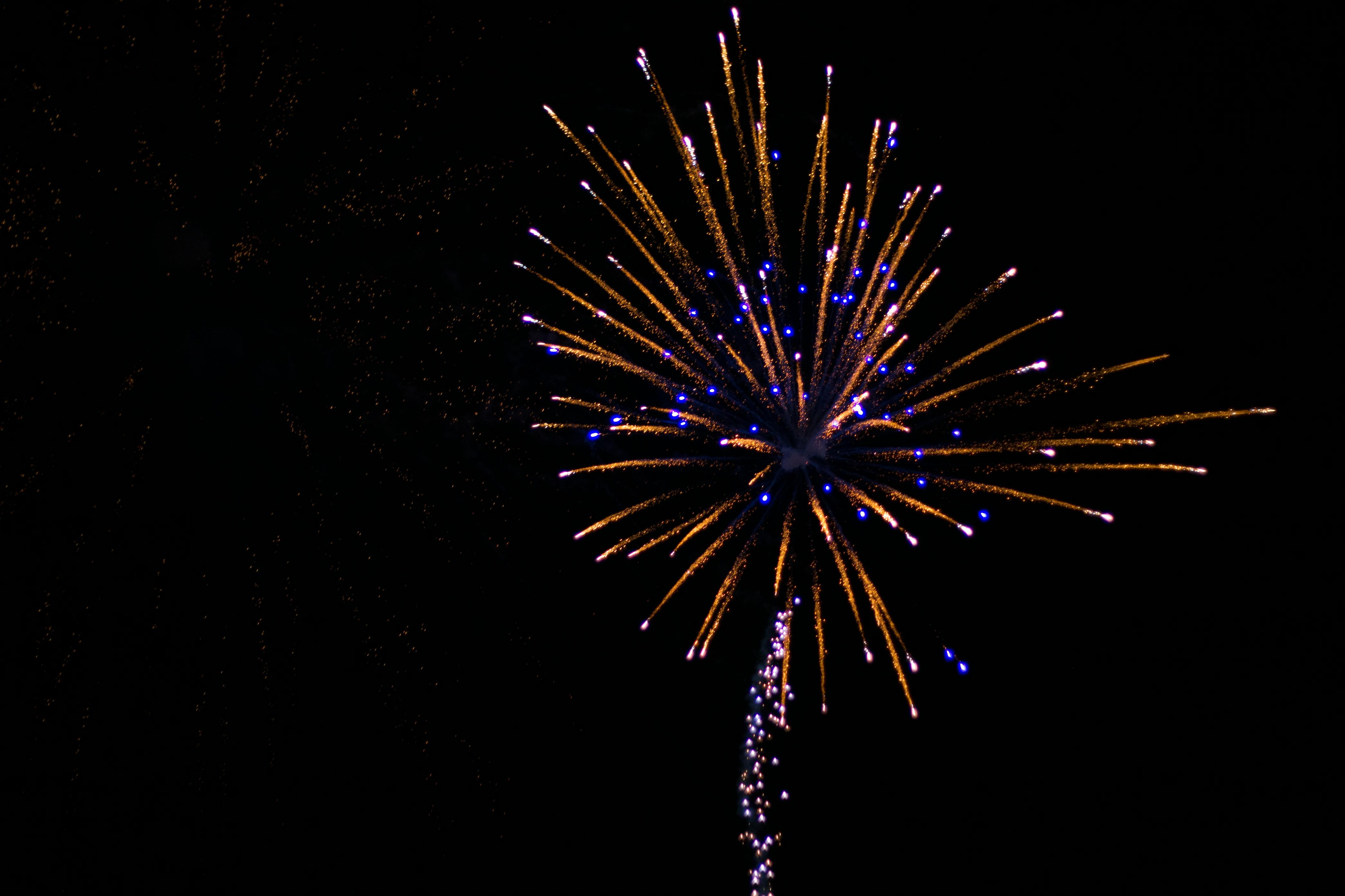 Fireworks at Night · Free Stock Photo