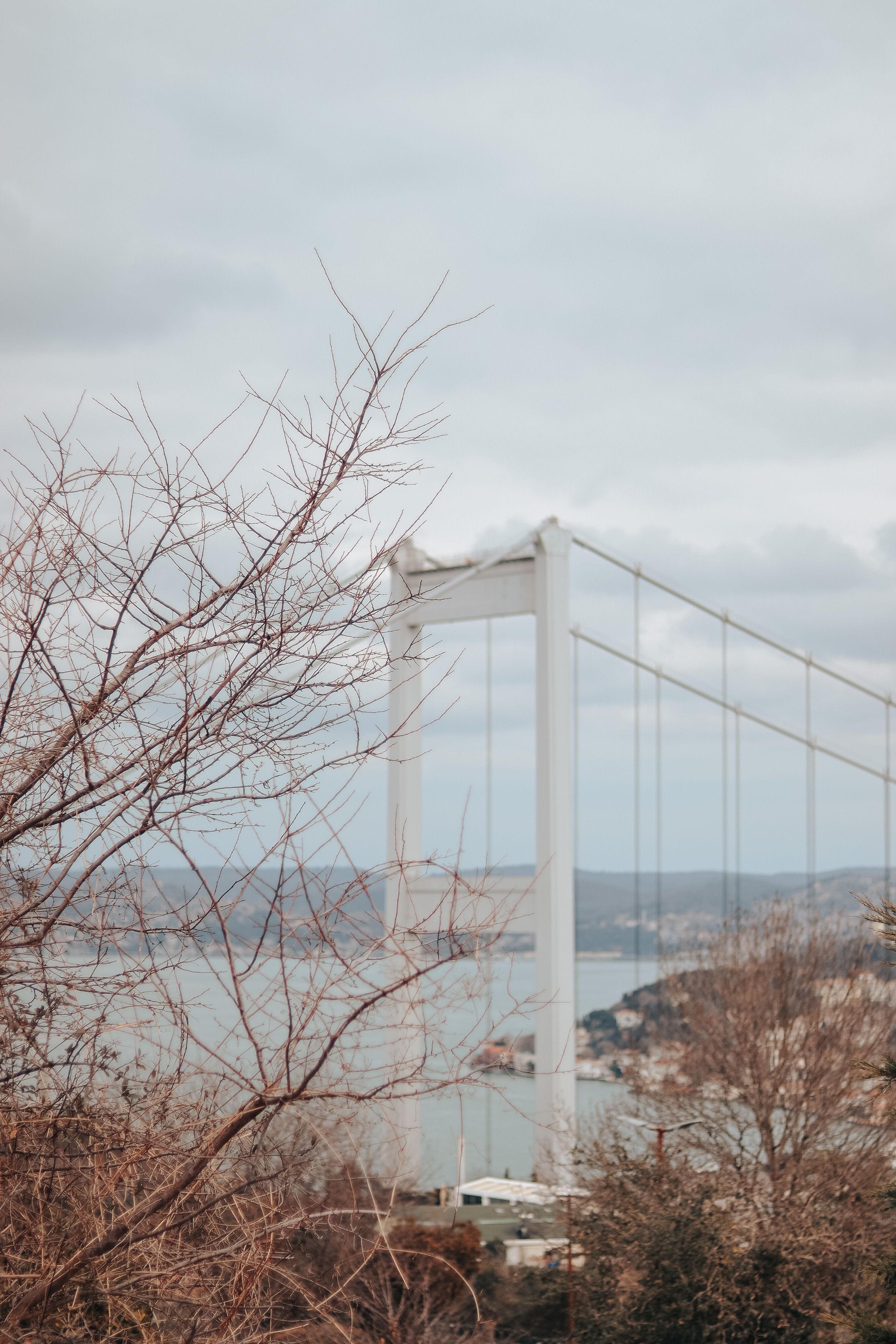 The Rainbow Suspension Bridge in Taiwan · Free Stock Photo