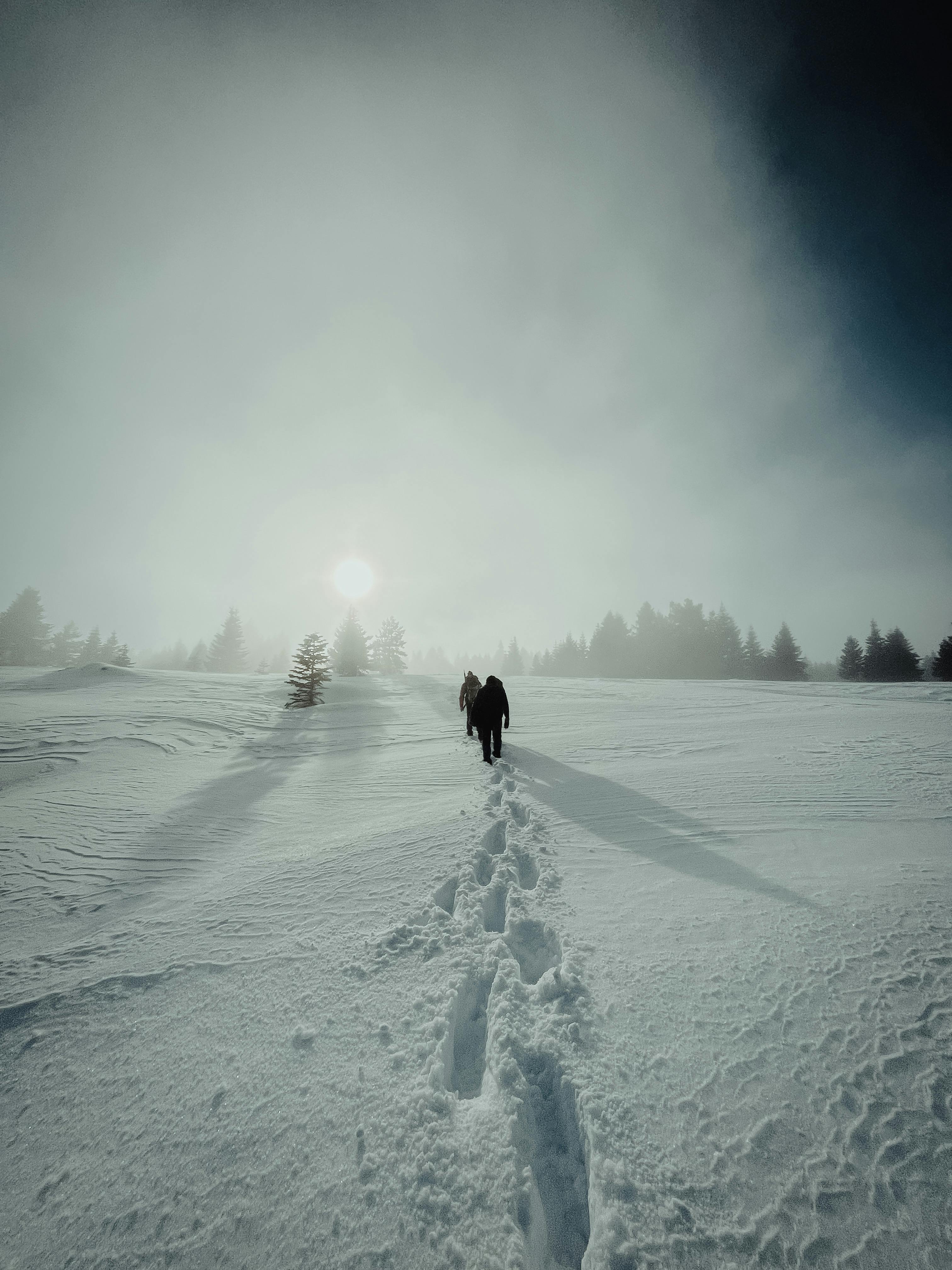 People Walking on Snow Covered Ground · Free Stock Photo
