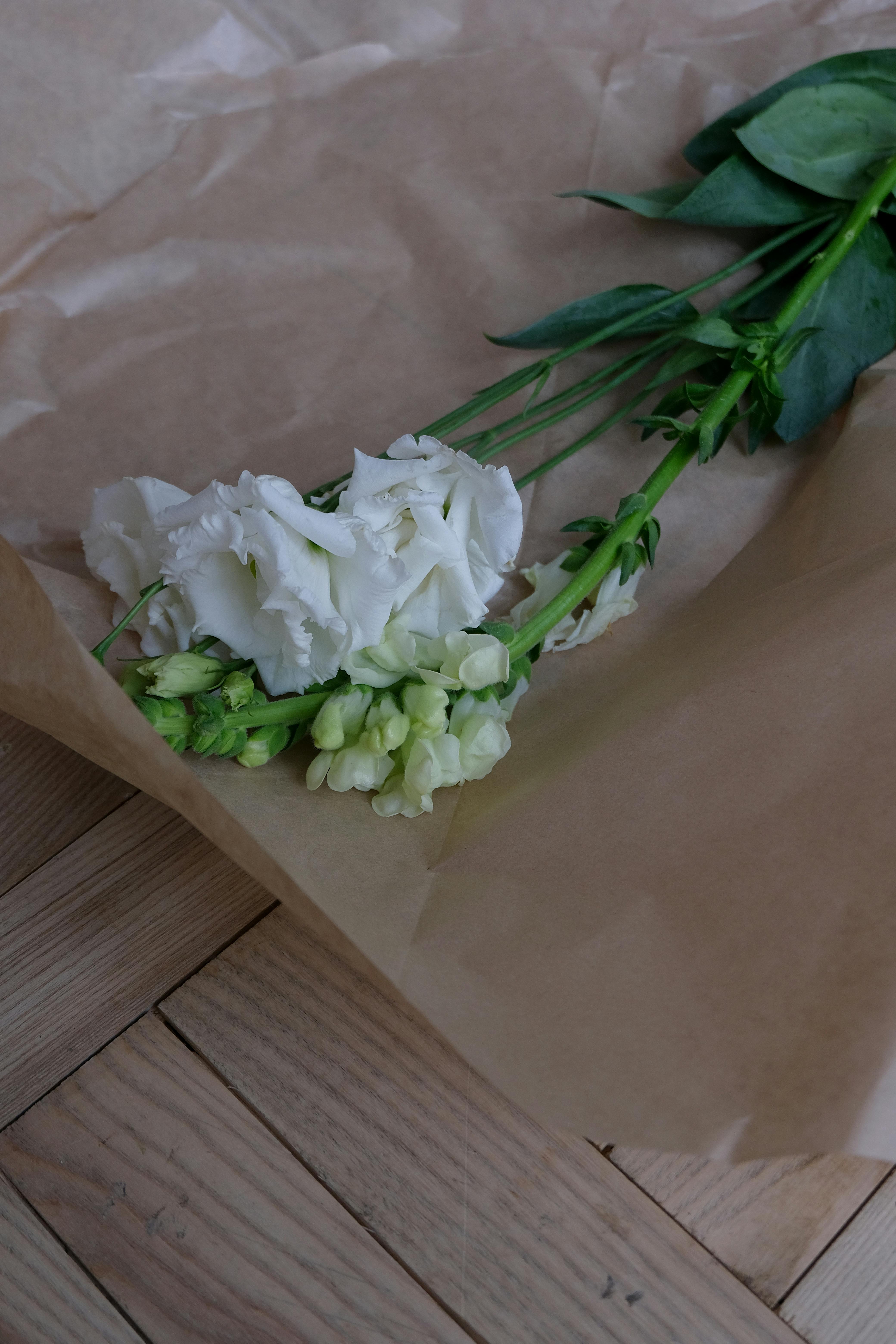 Paper Grip Photos, Download The BEST Free Paper Grip Stock Photos & HD ...