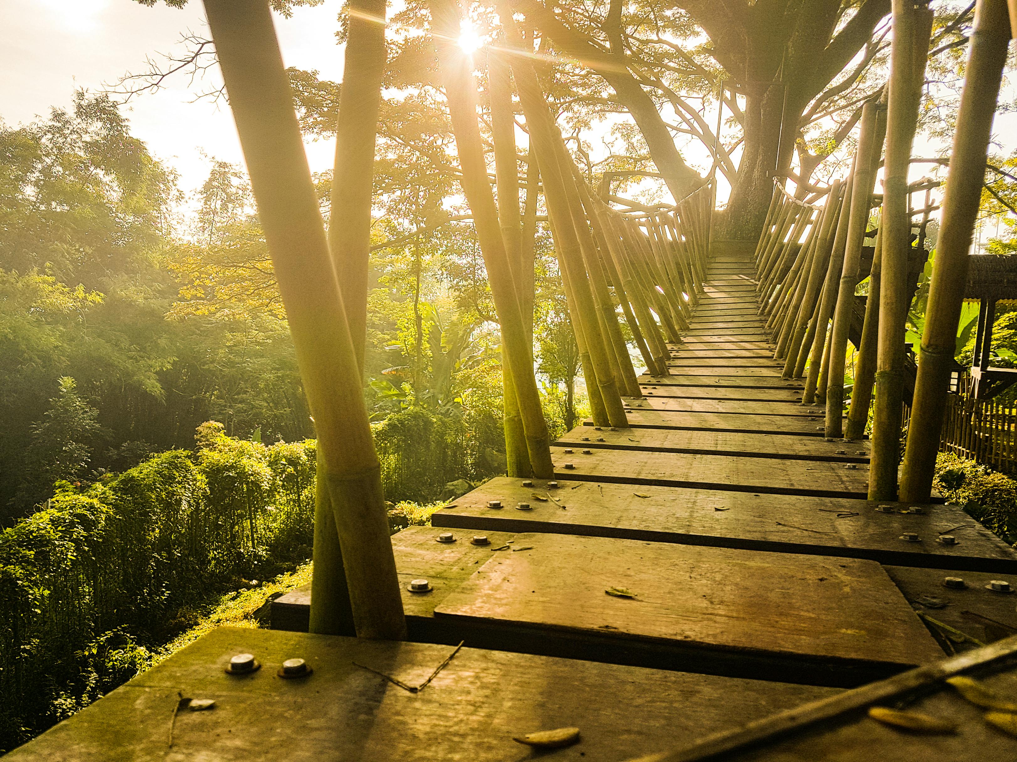 Keyshot Background Wooden Bridge Photos, Download The BEST Free Keyshot ...