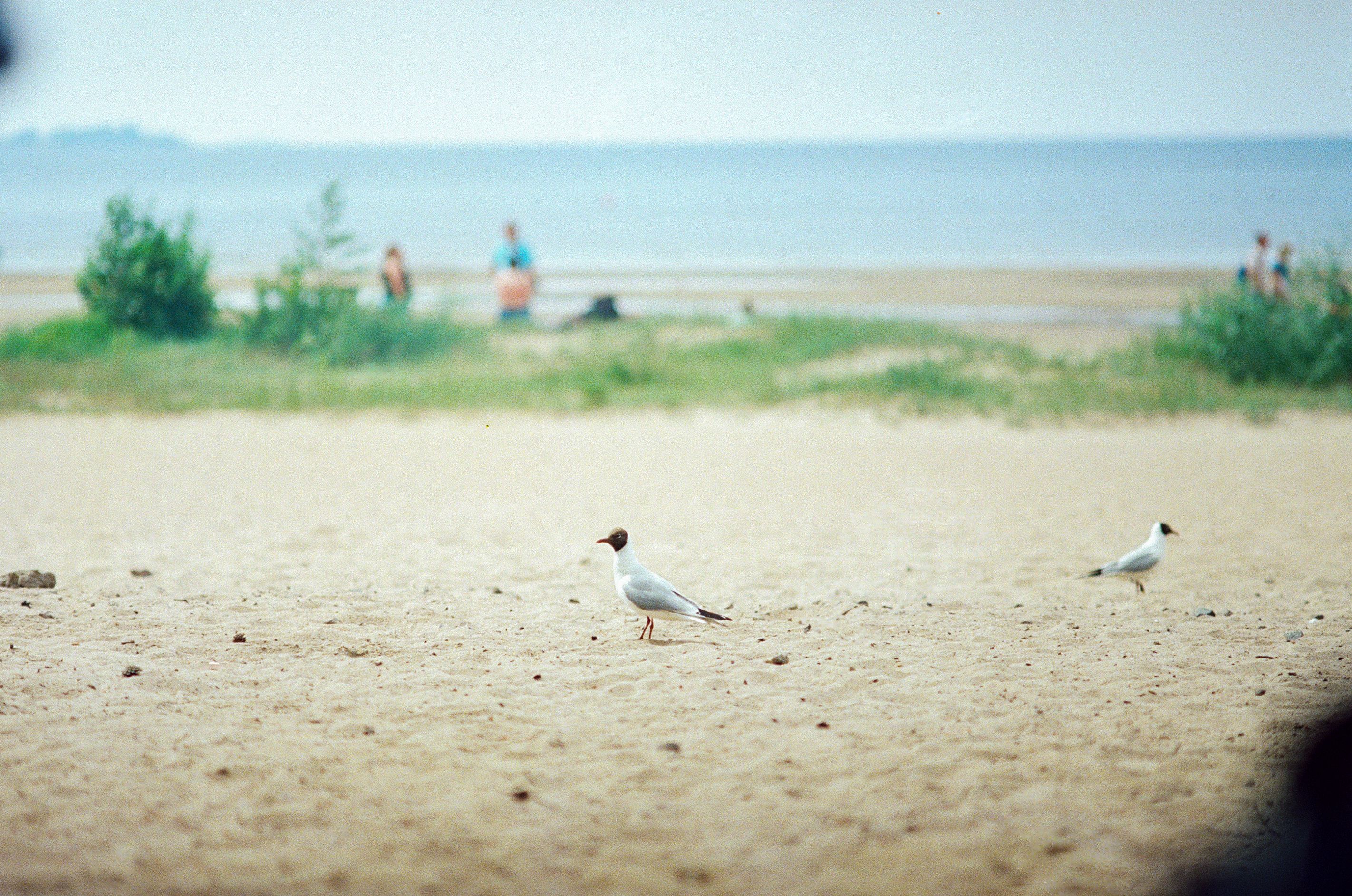 Picnic Birds Eye View Photos, Download The BEST Free Picnic Birds Eye ...