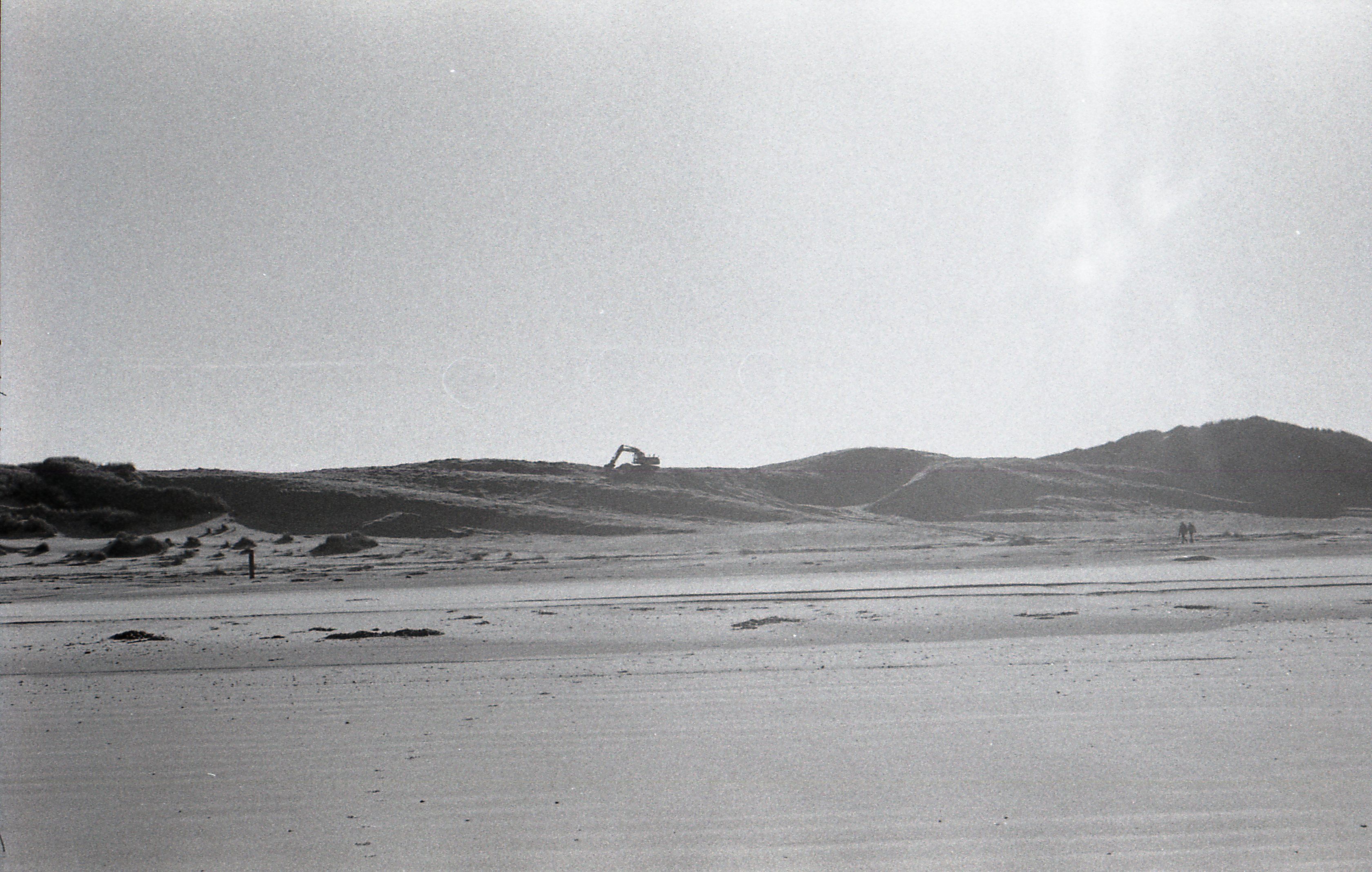 Monochrome Photo of Desert · Free Stock Photo