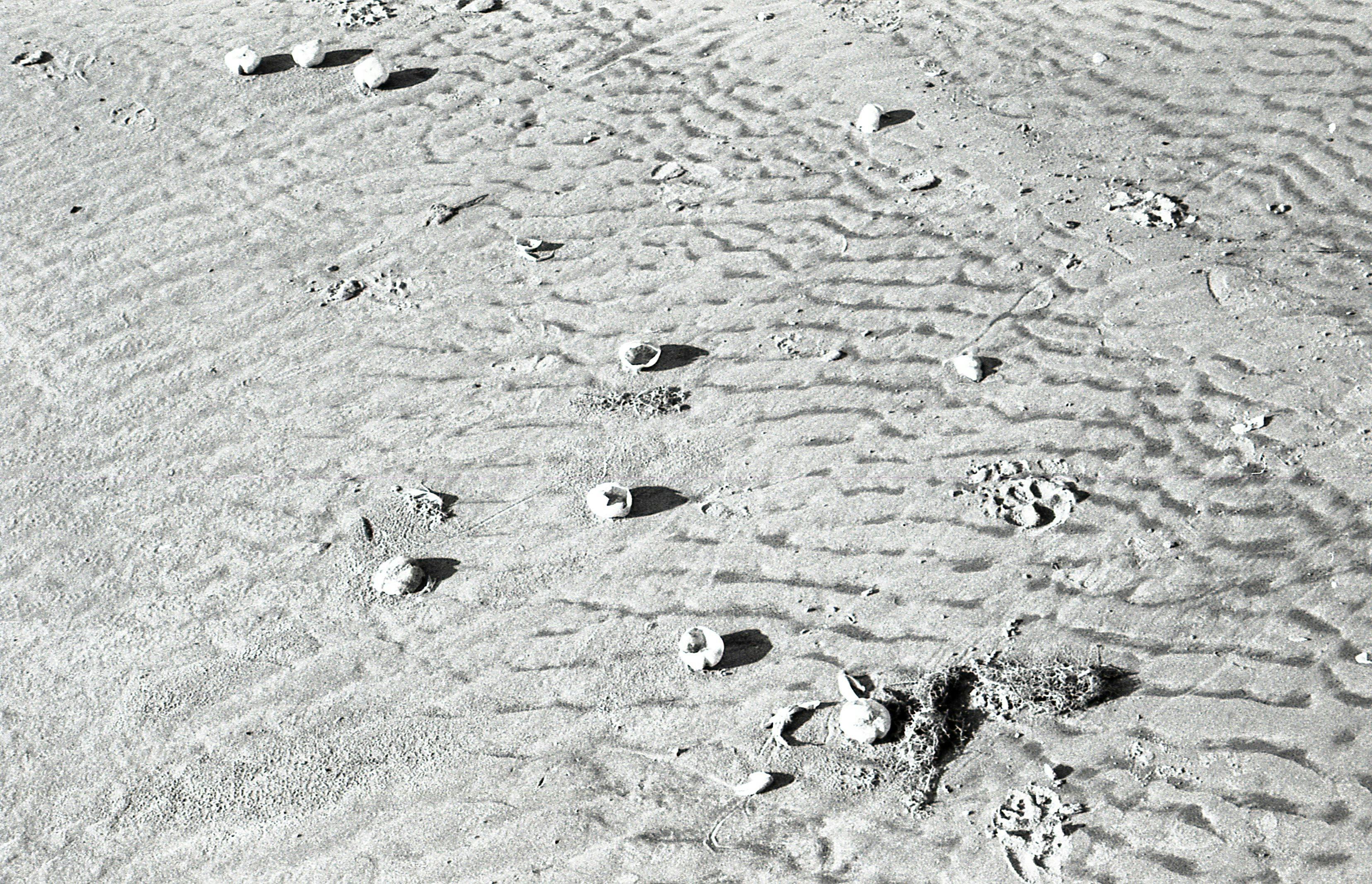 A Cross on Rocky Shore in Grayscale Photography · Free Stock Photo