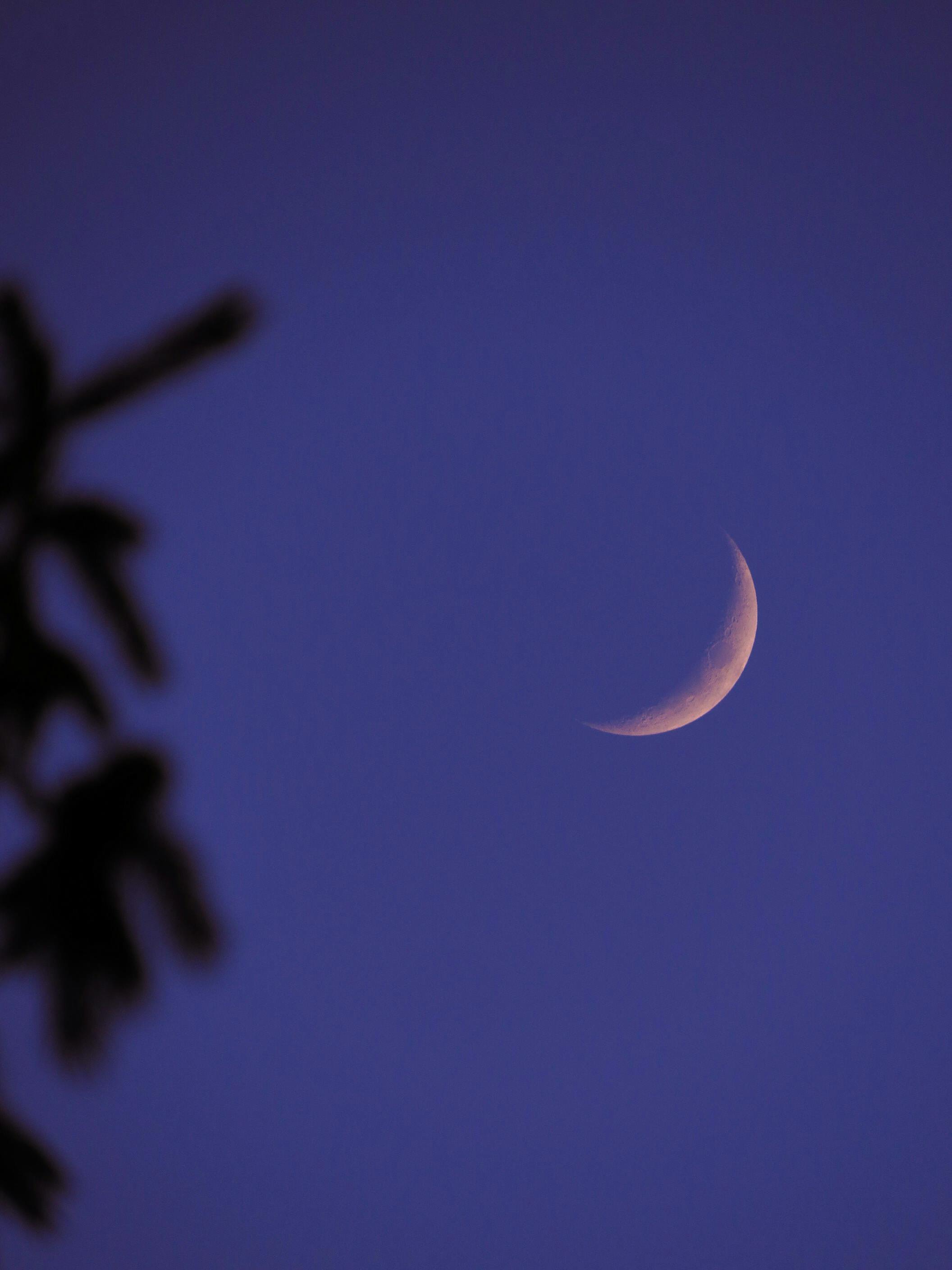 Crescent Moon in the Night Sky · Free Stock Photo