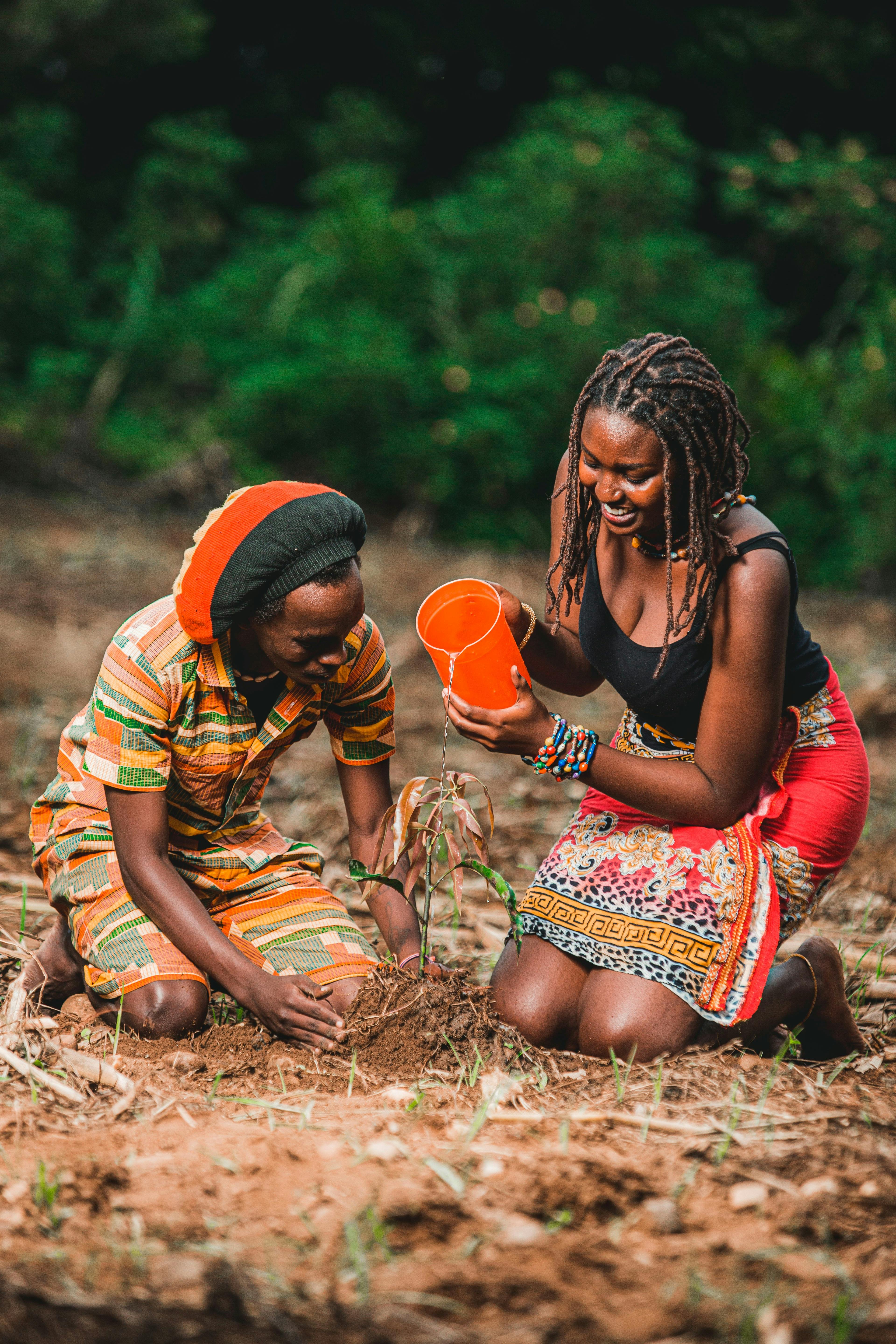 A Couple Watering a Plant · Free Stock Photo