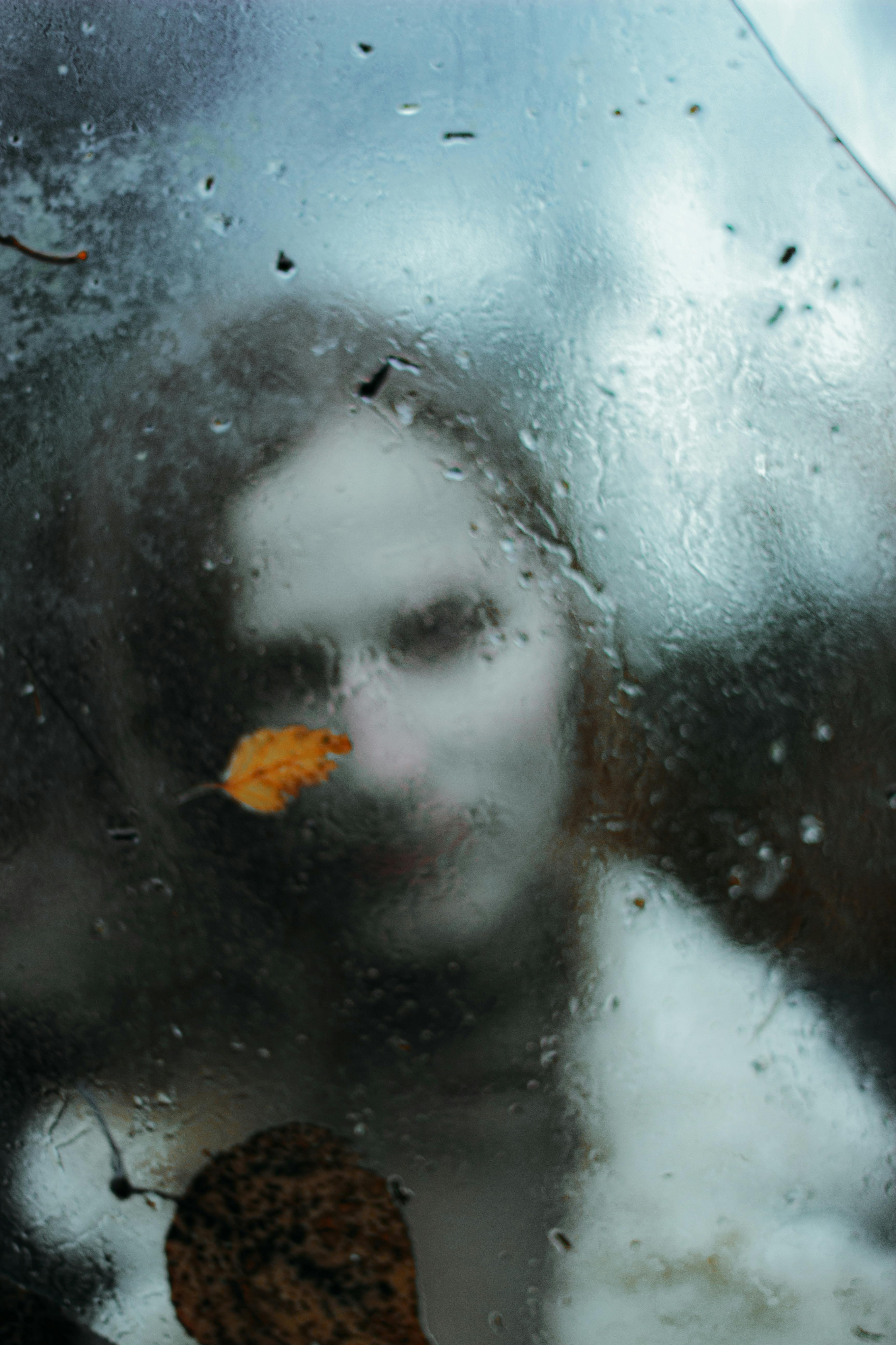 Three Maple Leaves On Window · Free Stock Photo