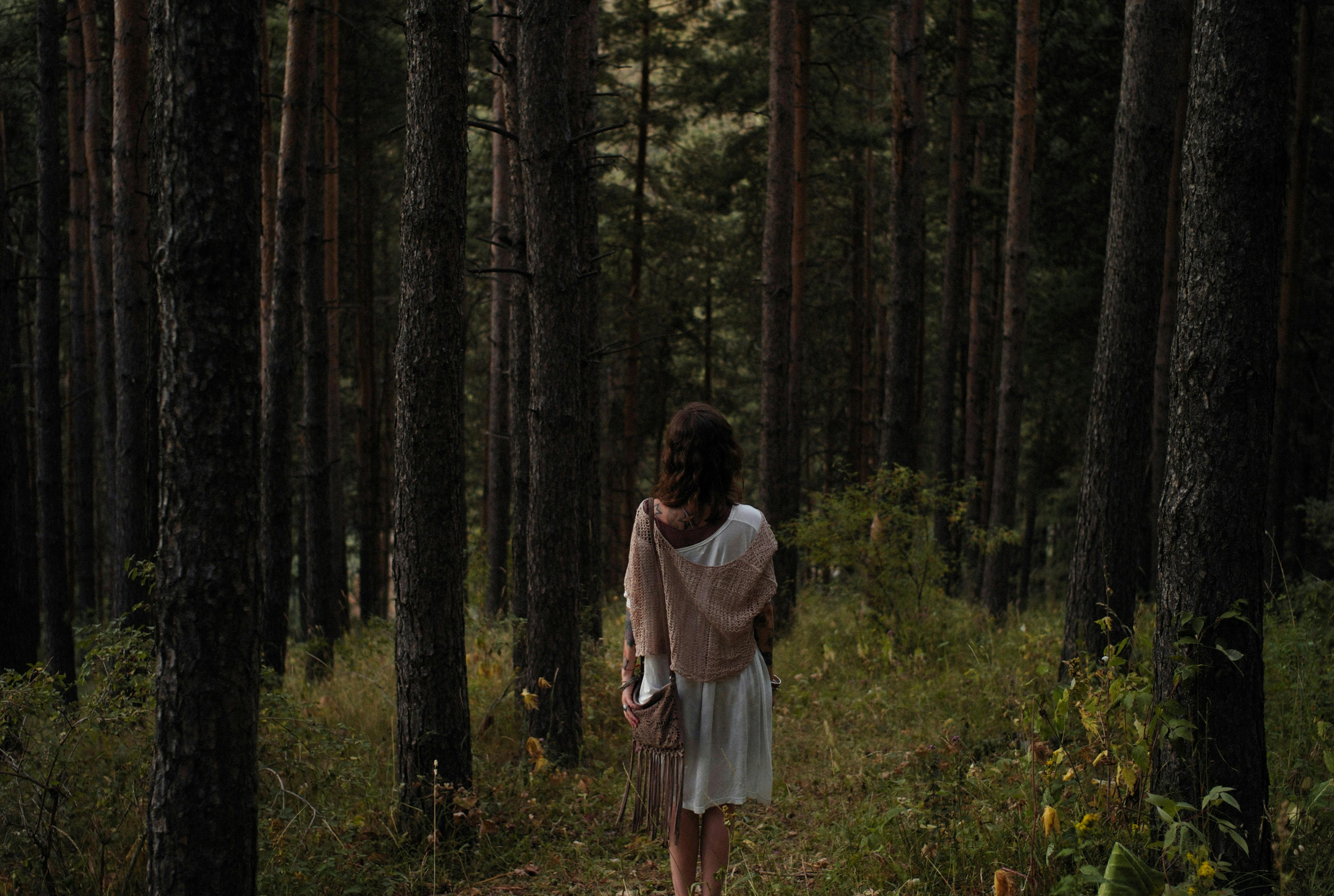 Person in the Forest Standing Behind a Tree Trunk · Free Stock Photo