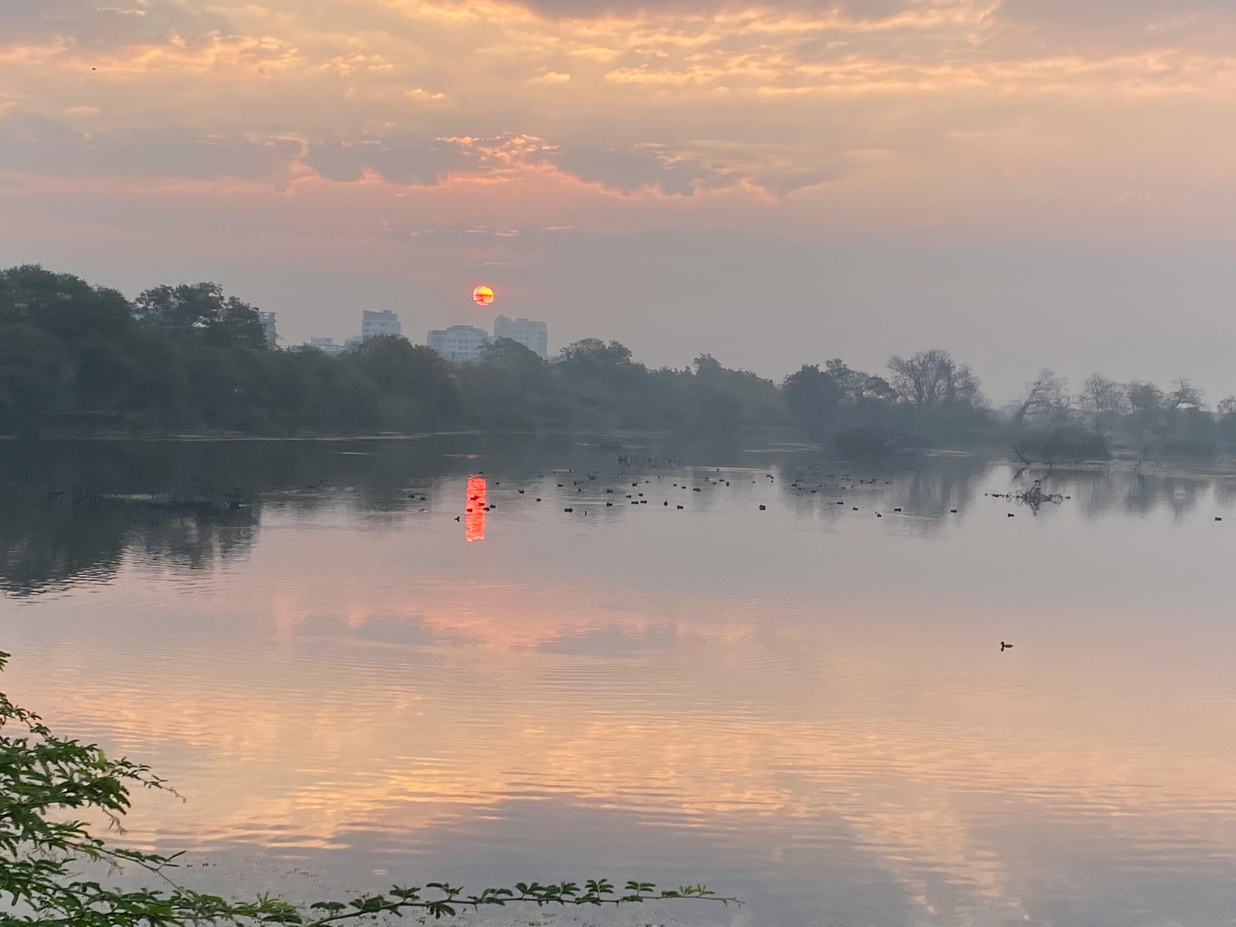 Rahul H Kambad - 攝影