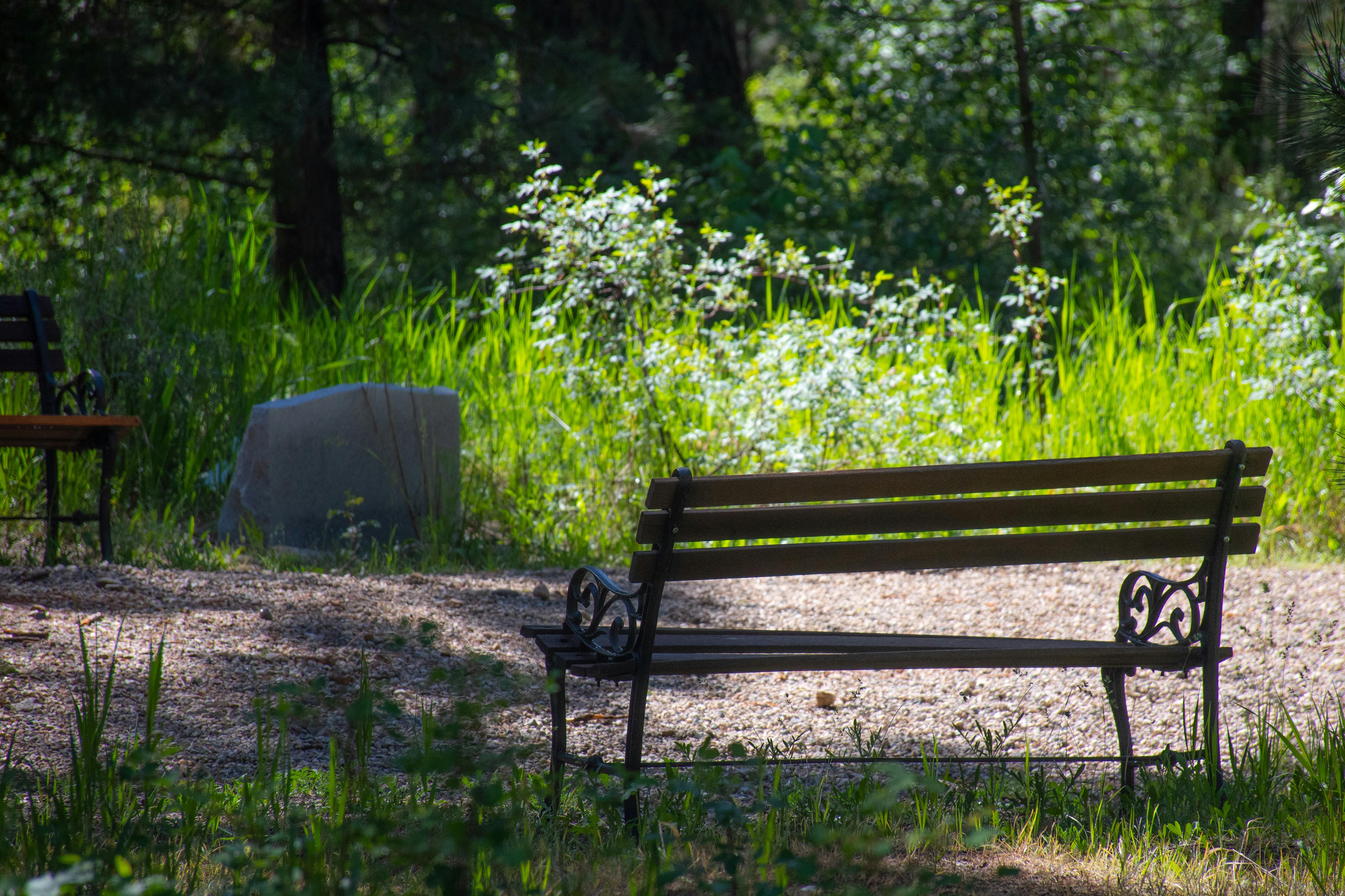 Photo of Wooden Bench on Park · Free Stock Photo